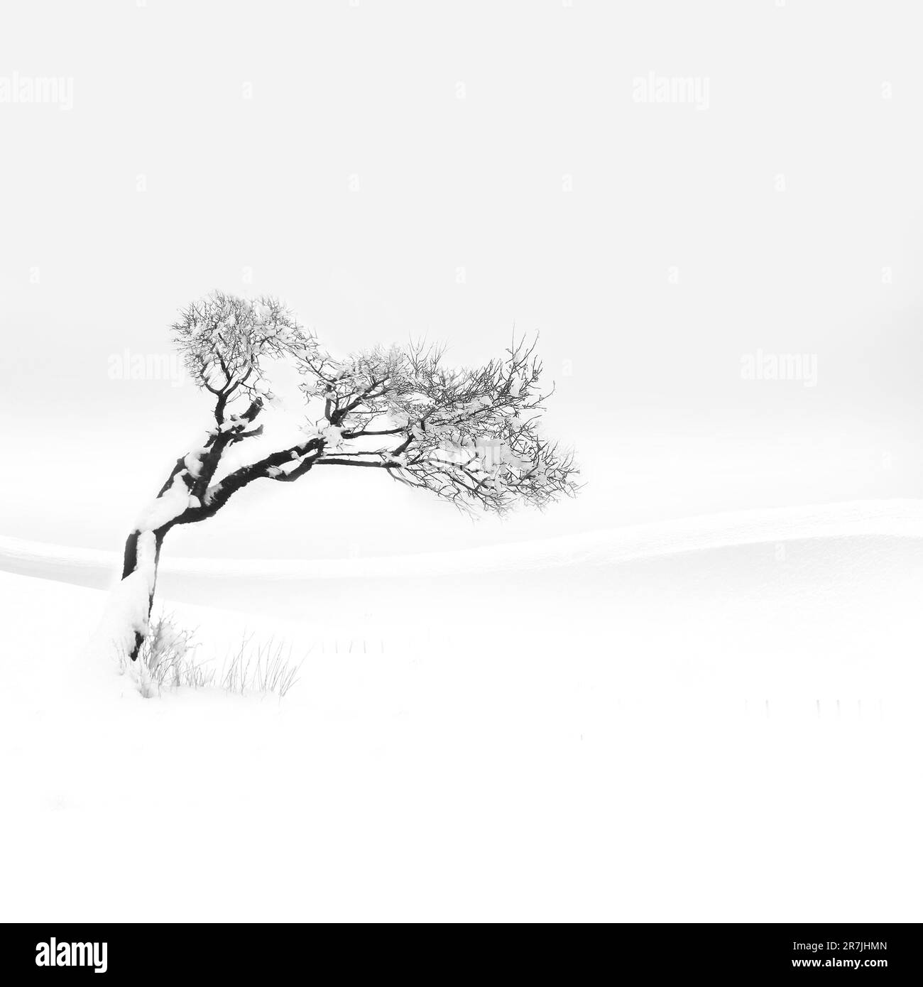 Minimalist photography is an aesthetic of omission and solitude that ...