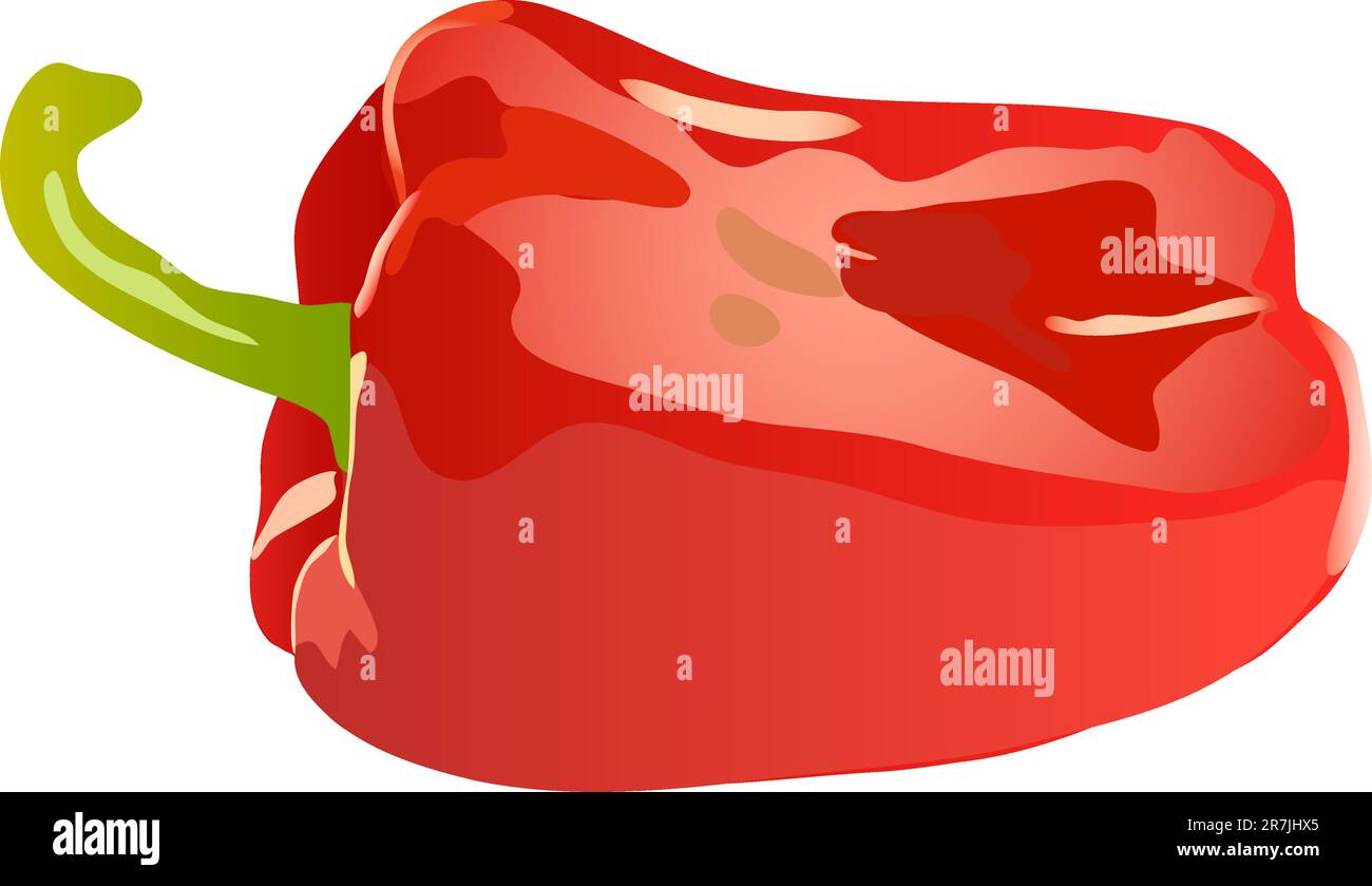 Green ripe pepper on Stock Vector Images - Alamy