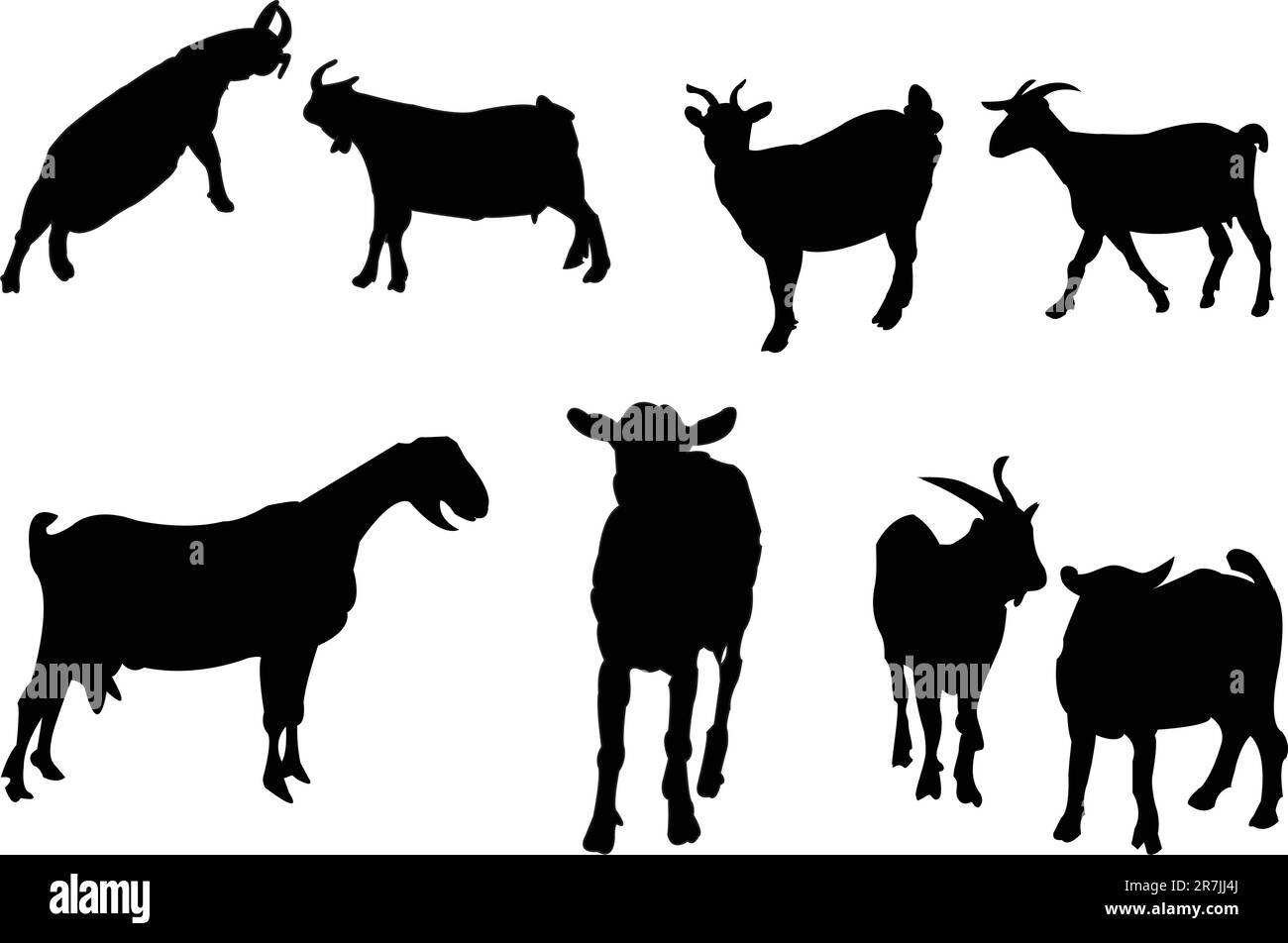 goats collection - vector Stock Vector Image & Art - Alamy
