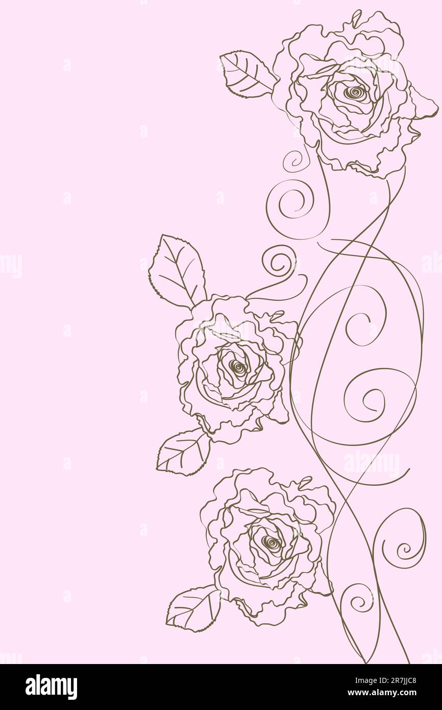 contour of blossom roses on pink background Stock Vector Image & Art ...