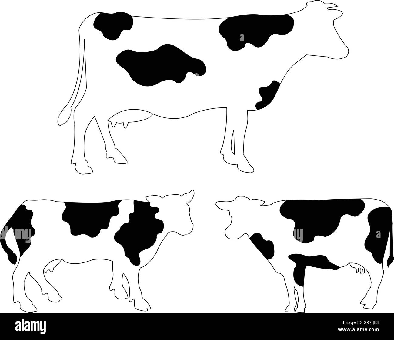 Cows illustration - vector illustration Stock Vector Image & Art - Alamy