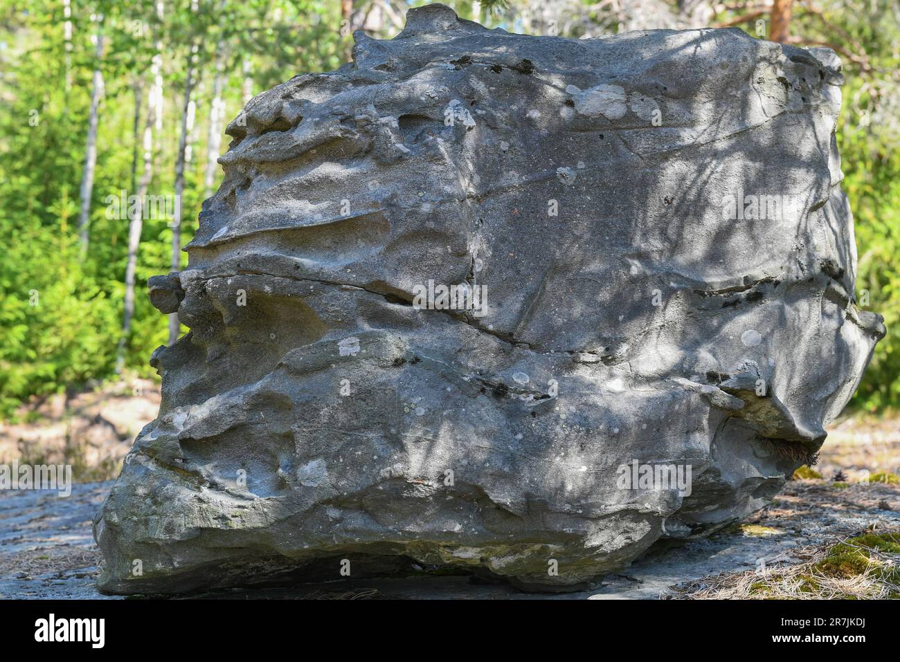 Rare and unusual hi-res stock photography and images - Alamy