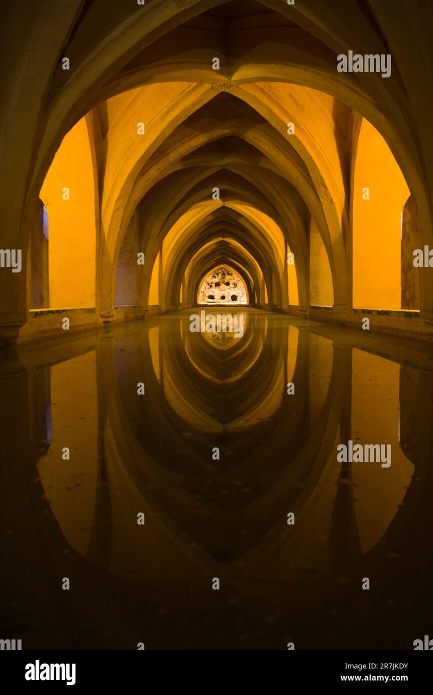 The Baths of Dona Maria de Padilla, a long vaulted hall underground ...