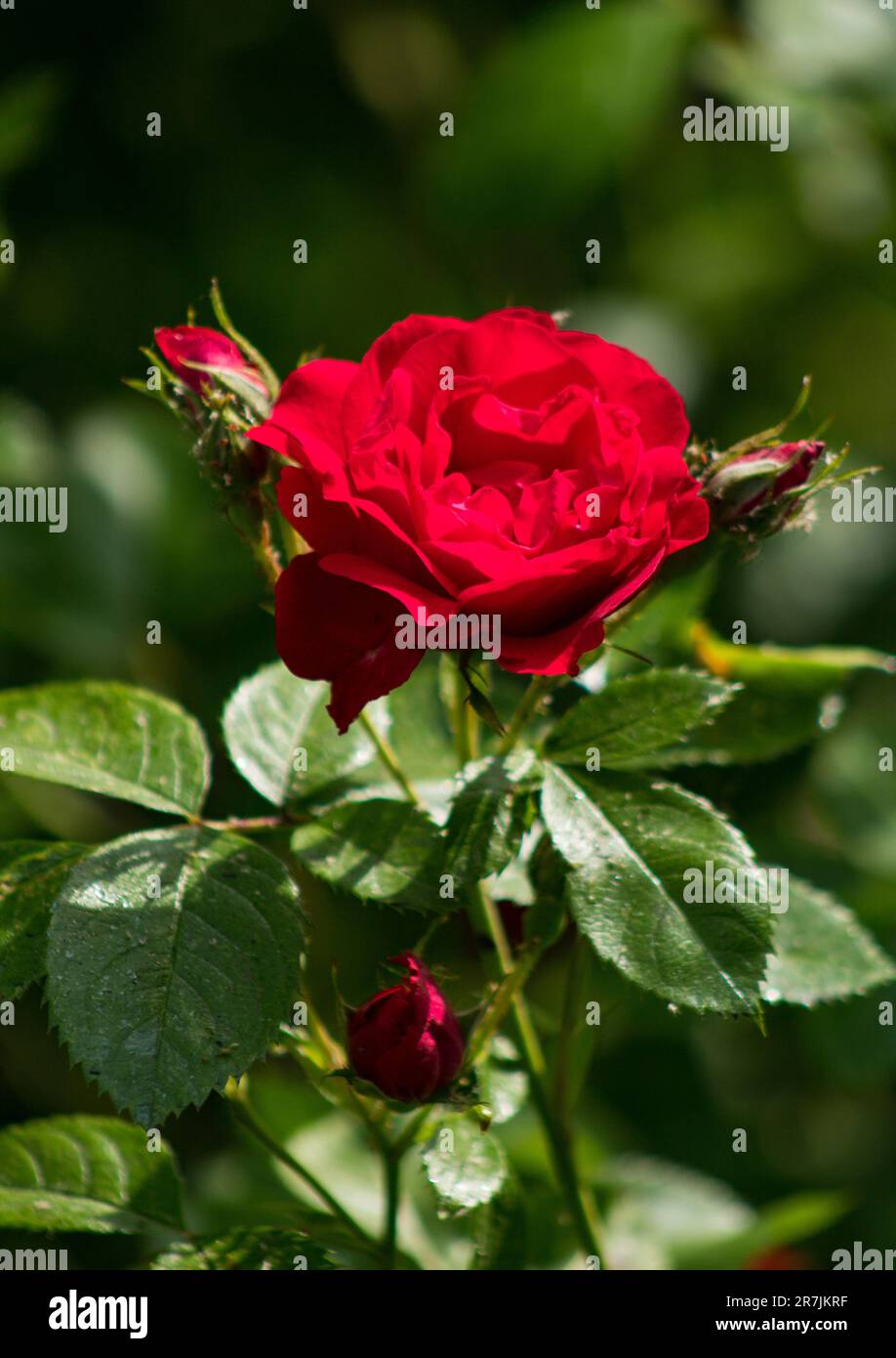 21 06 2023 hi-res stock photography and images - Alamy