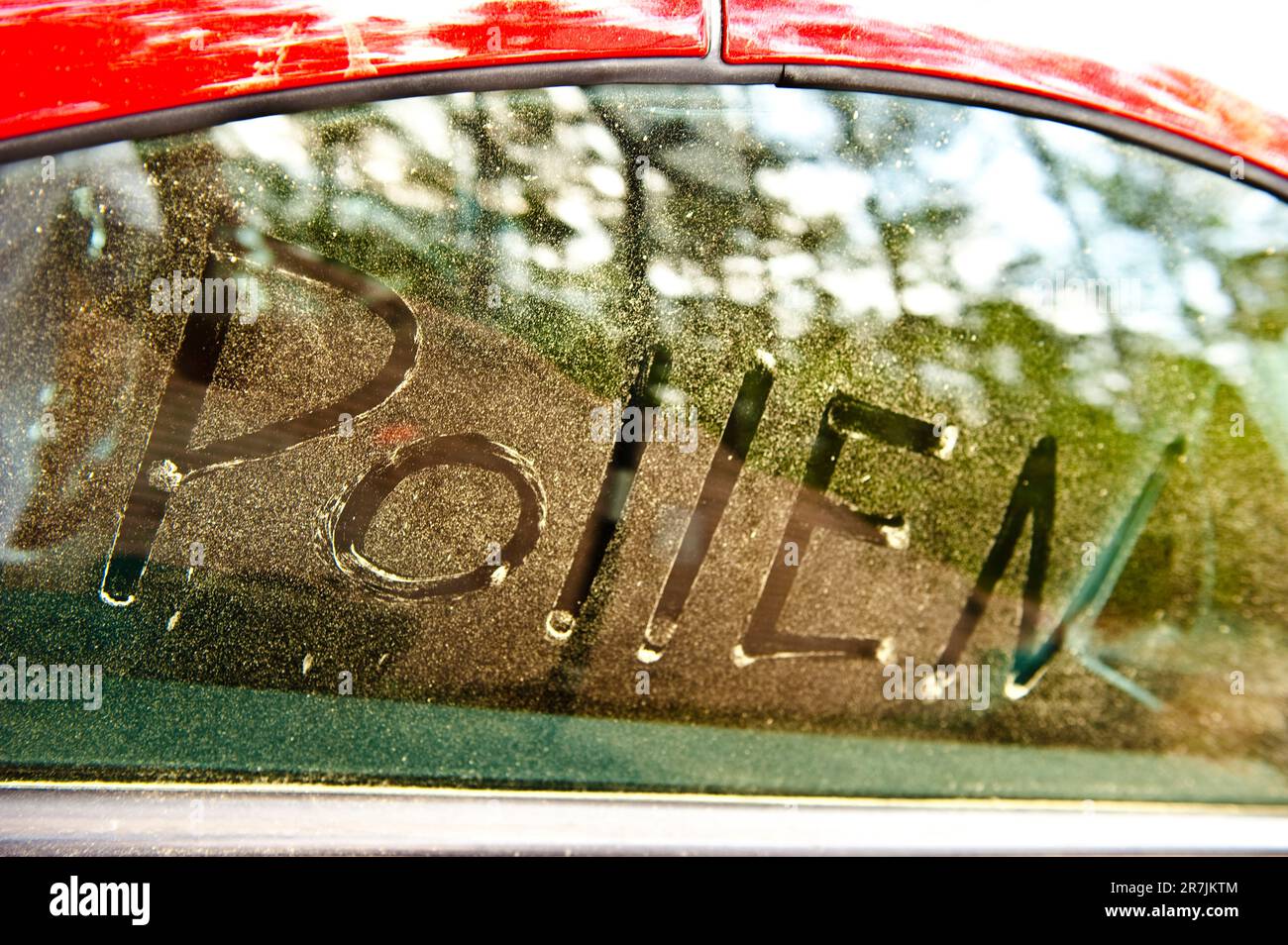 The word pollen written in pine tree pollen on a car's side window ...