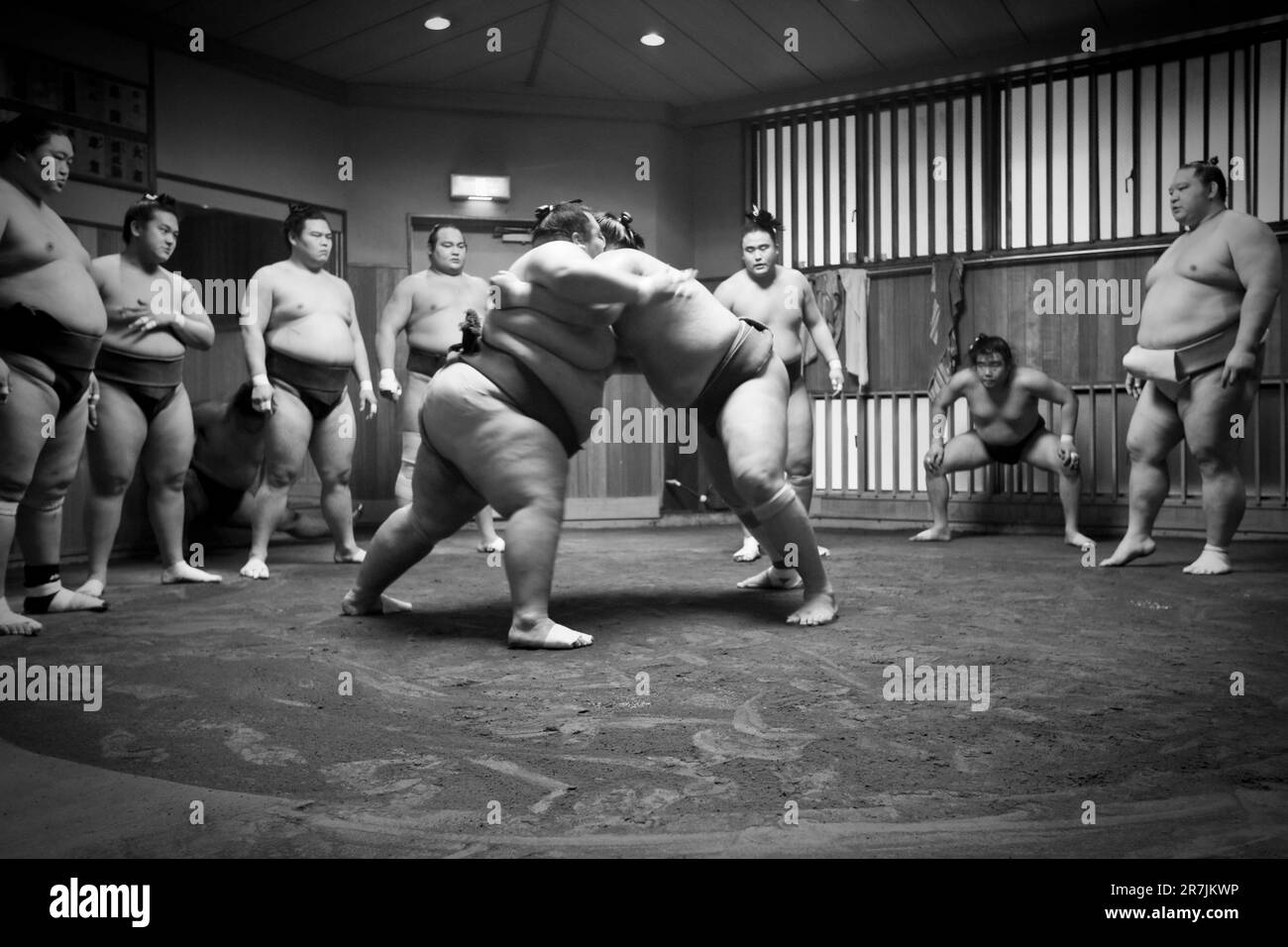 Sumo wrestlers tokyo japan hi-res stock photography and images - Alamy