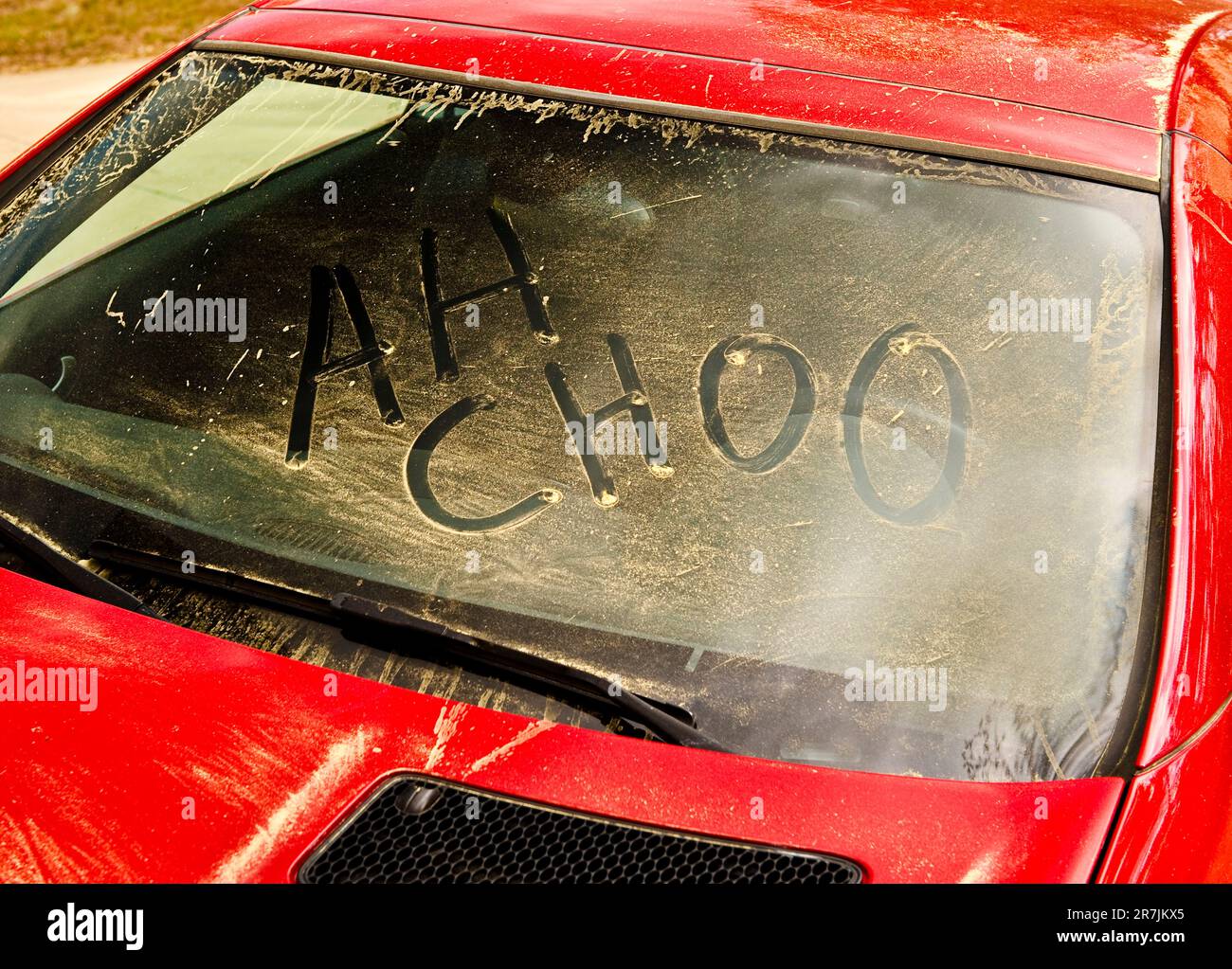 The words Ah Choo written in pine tree pollen on a car's windshield ...