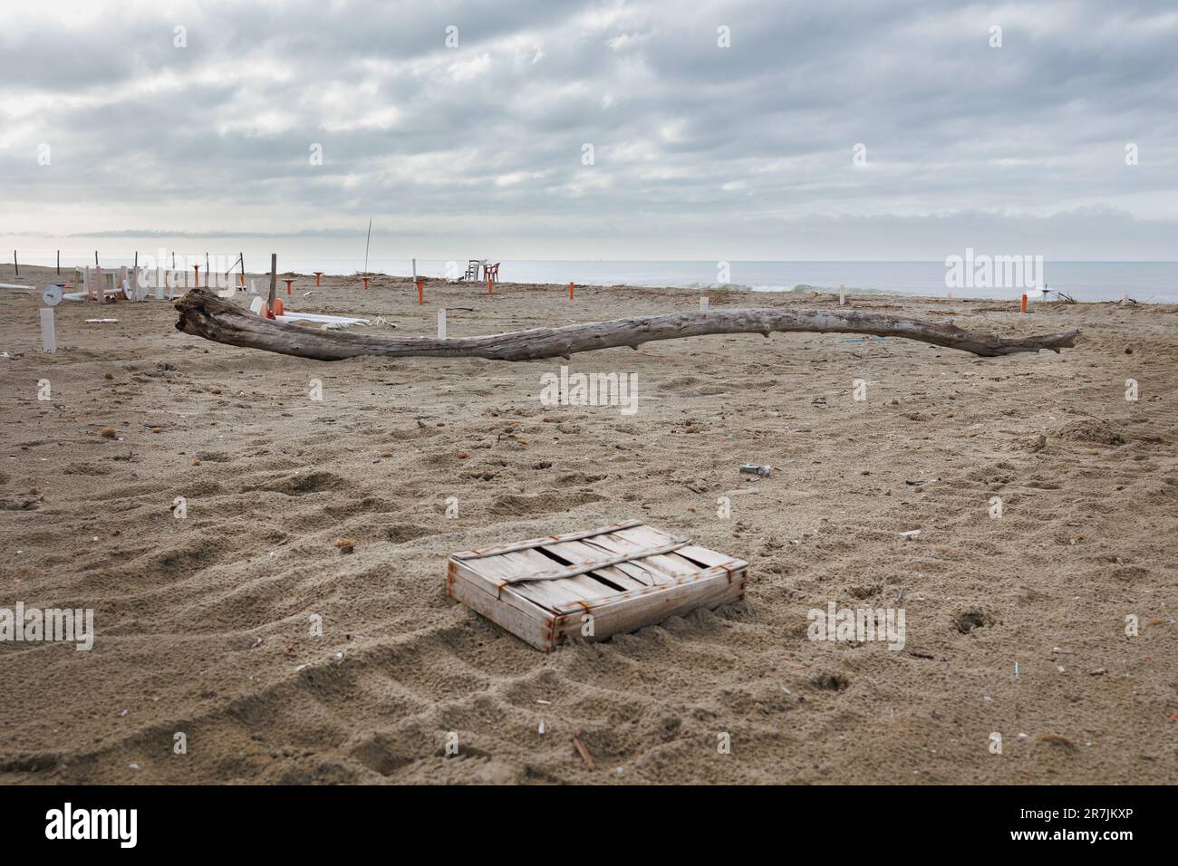 Wooden Box with Rusty Nails, Tree Trunk, Umbrella Poles and other ...