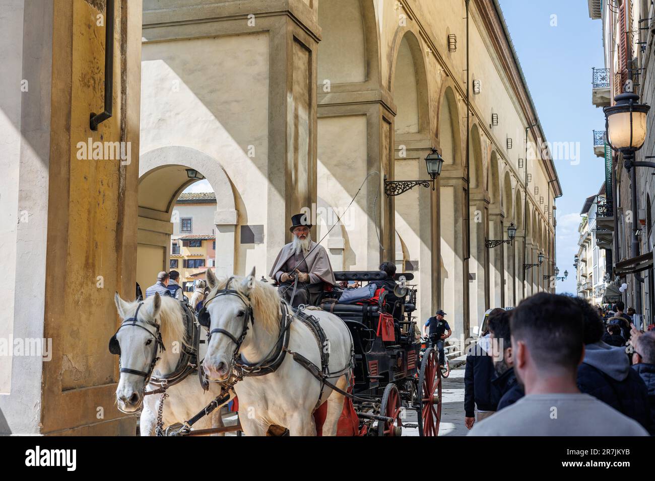 Horse-drawn Carriage with Tourists and Two White Horses Traveling along ...