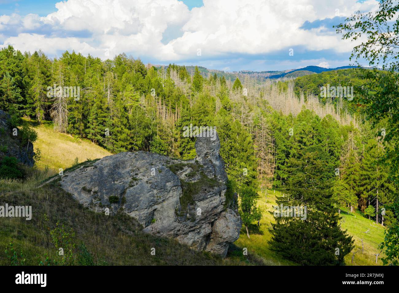 Rural scene in lower saxony hi-res stock photography and images - Alamy