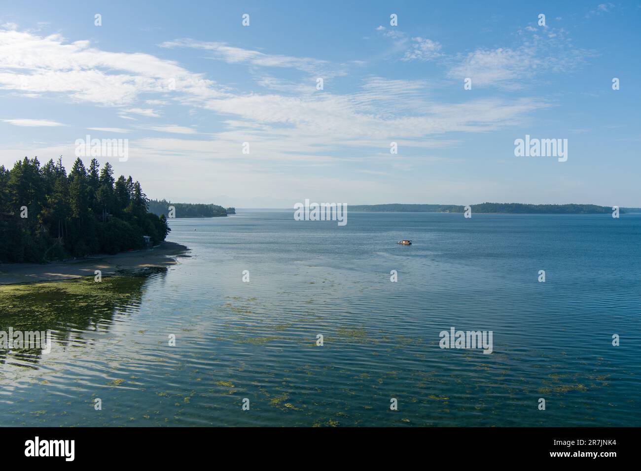Tolmie State Park in June 2023 Stock Photo - Alamy