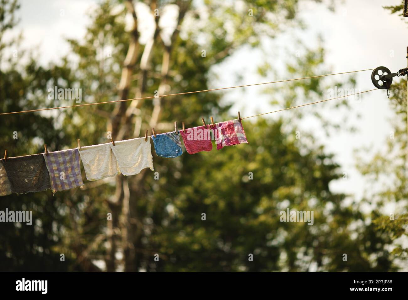 Laundry trees hi-res stock photography and images - Alamy