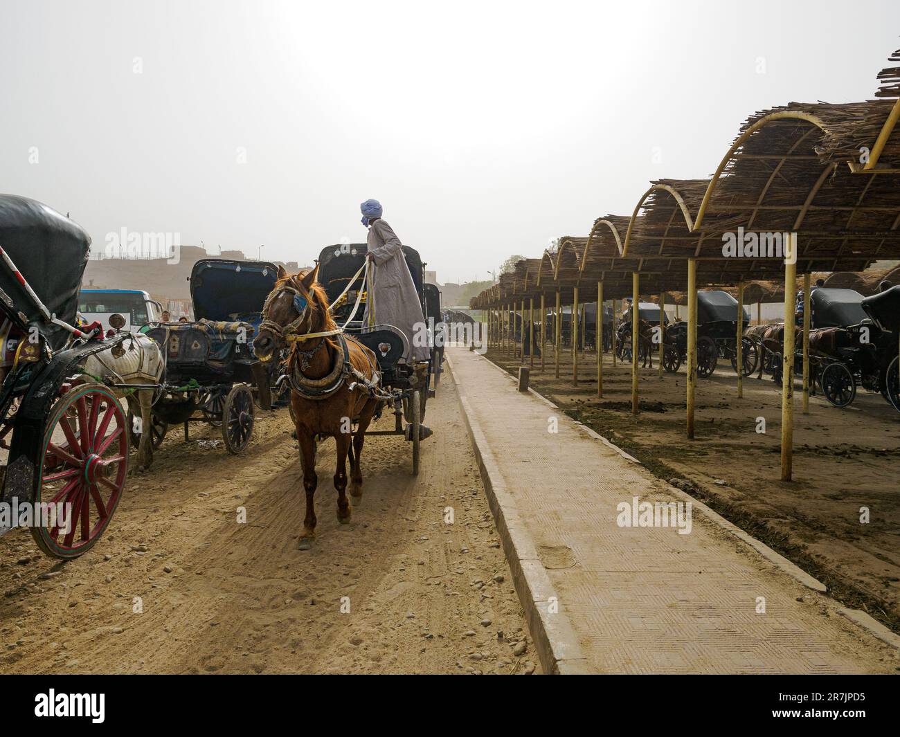 Traditional Horse-Drawn Carriage for Transportation and Tourism Stock ...