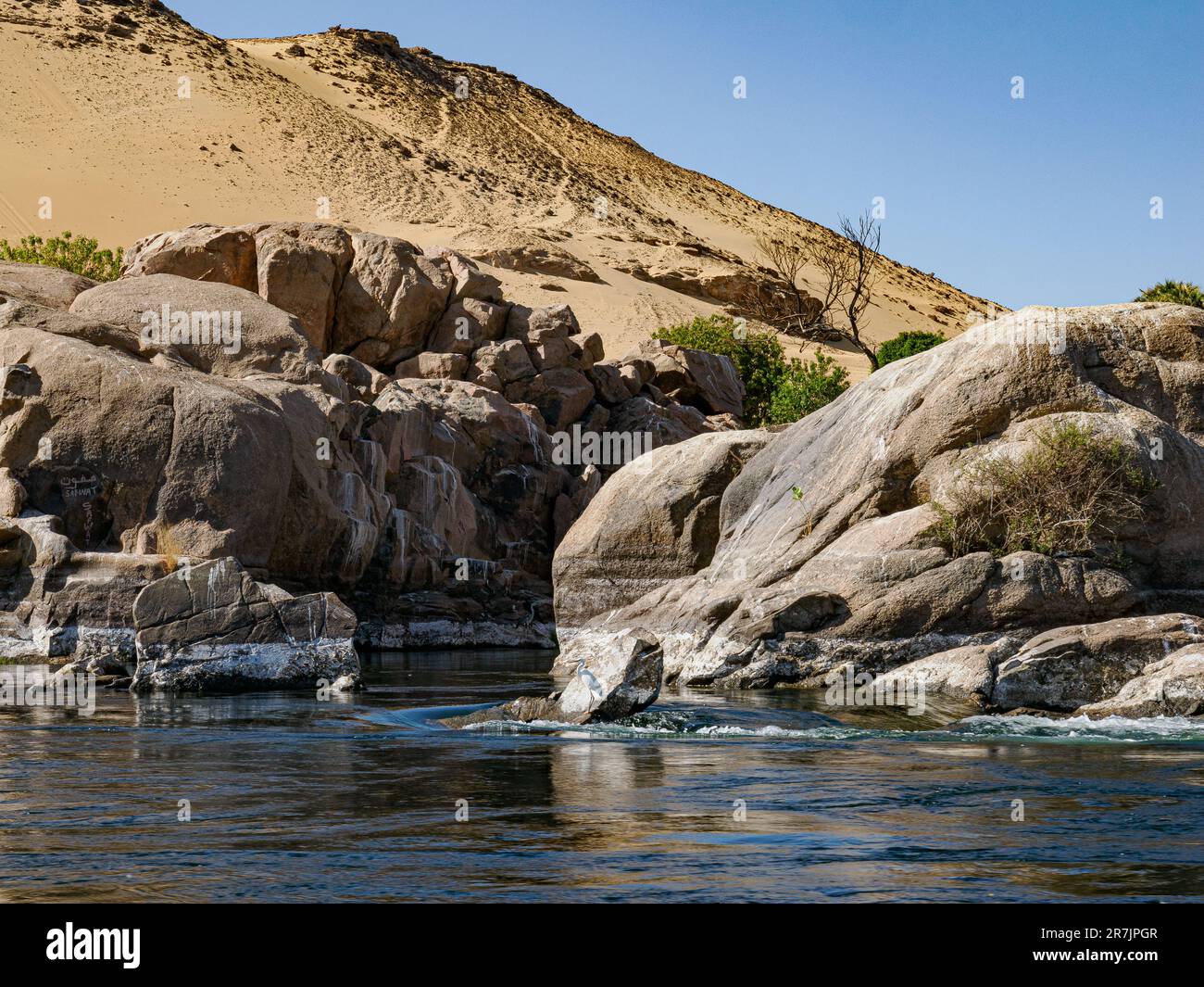 Heron beauty hi-res stock photography and images - Alamy