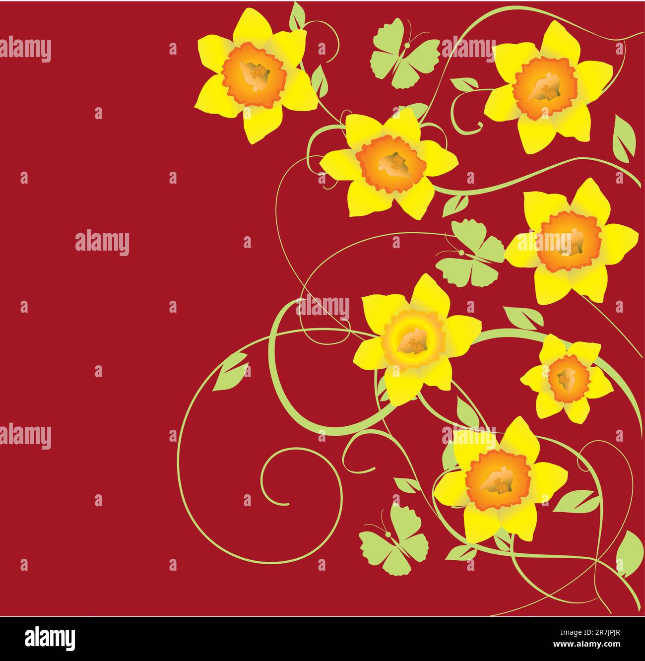 Vector illustration of daffodil frame Stock Vector Image & Art - Alamy