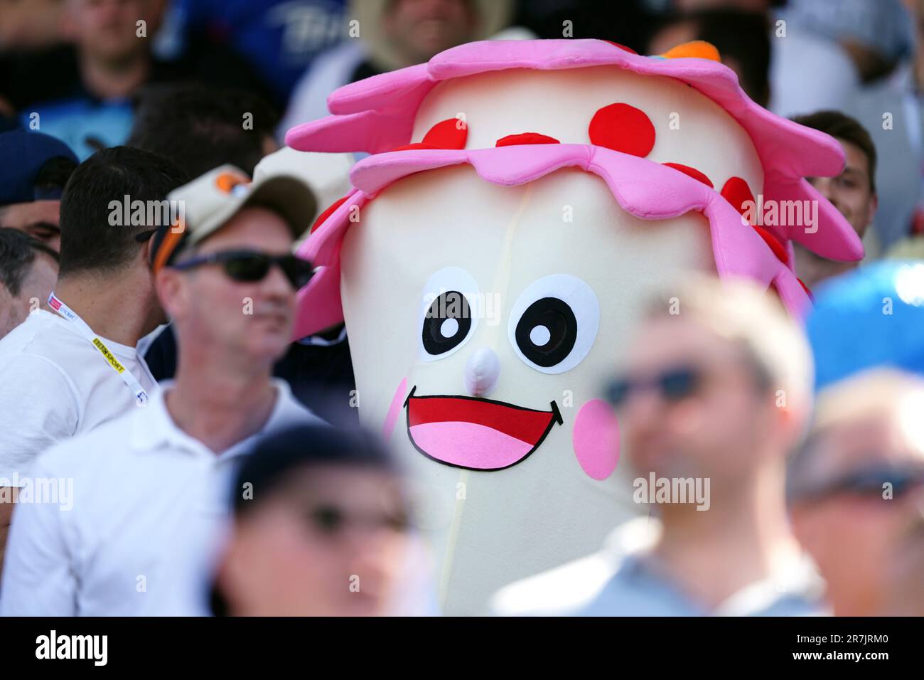 Cricket fans in fancy dress on day one of the first Ashes test match at ...