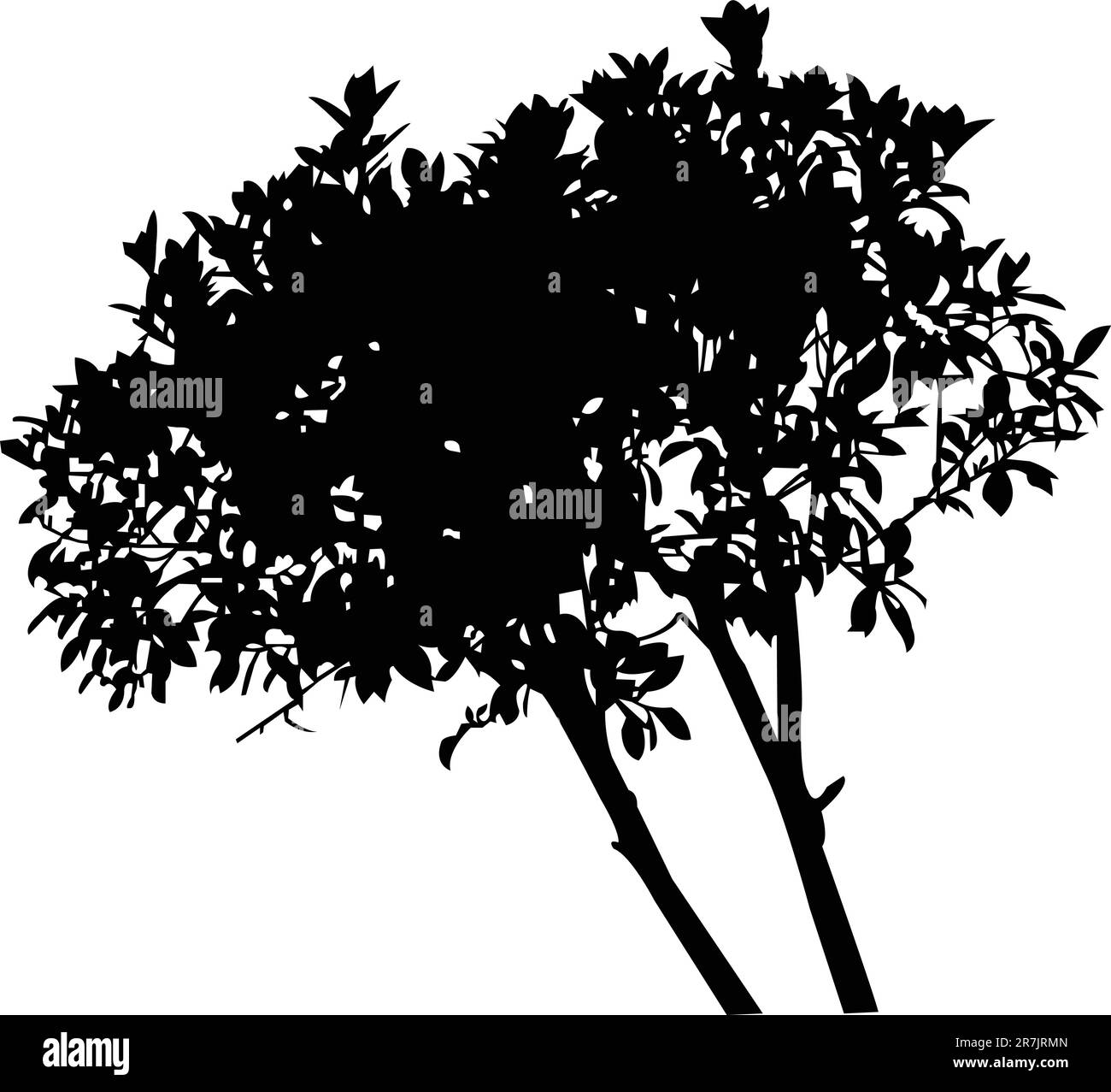 illustration of tree - vector Stock Vector Image & Art - Alamy