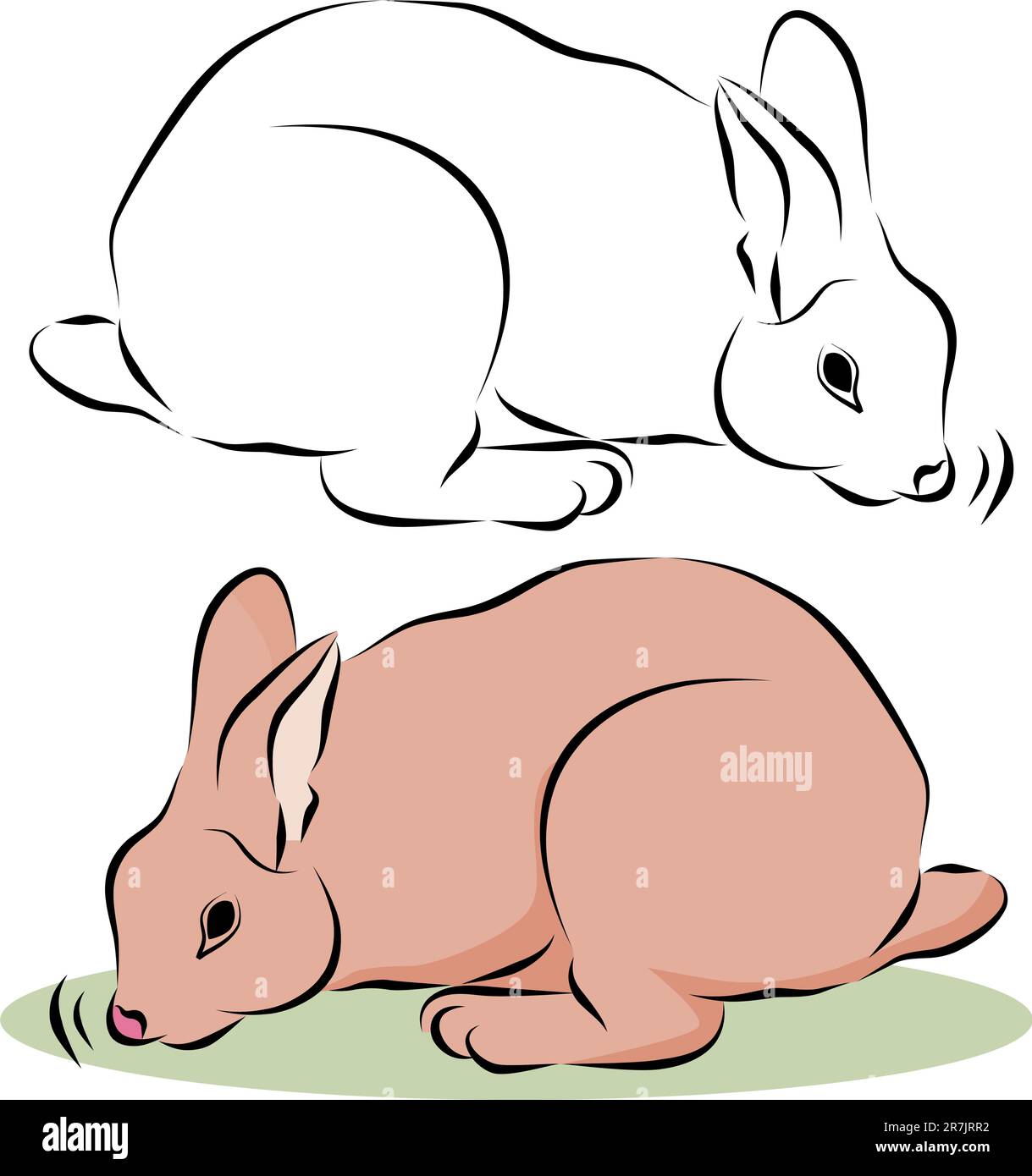 An image of a bunny rabbit sniffing line drawing Stock Vector Image ...