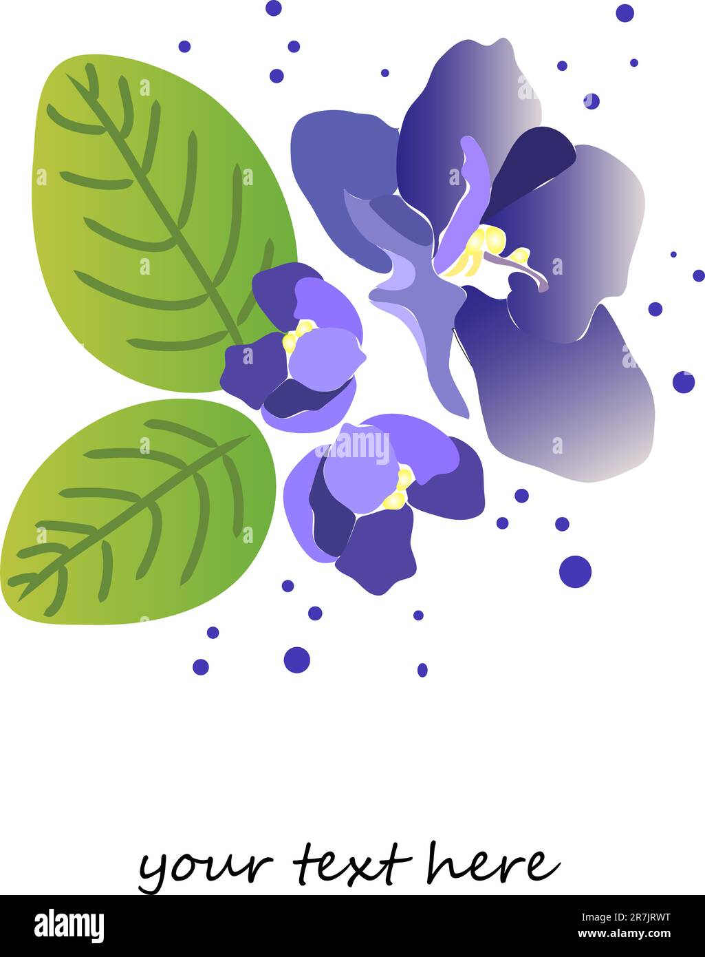 Lilac flowers on watercolor Stock Vector Images - Alamy