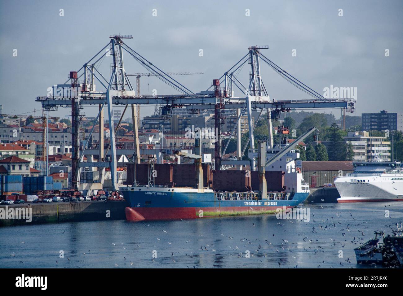 Harbor Container Cranes from around the World. Intermodal Container ...