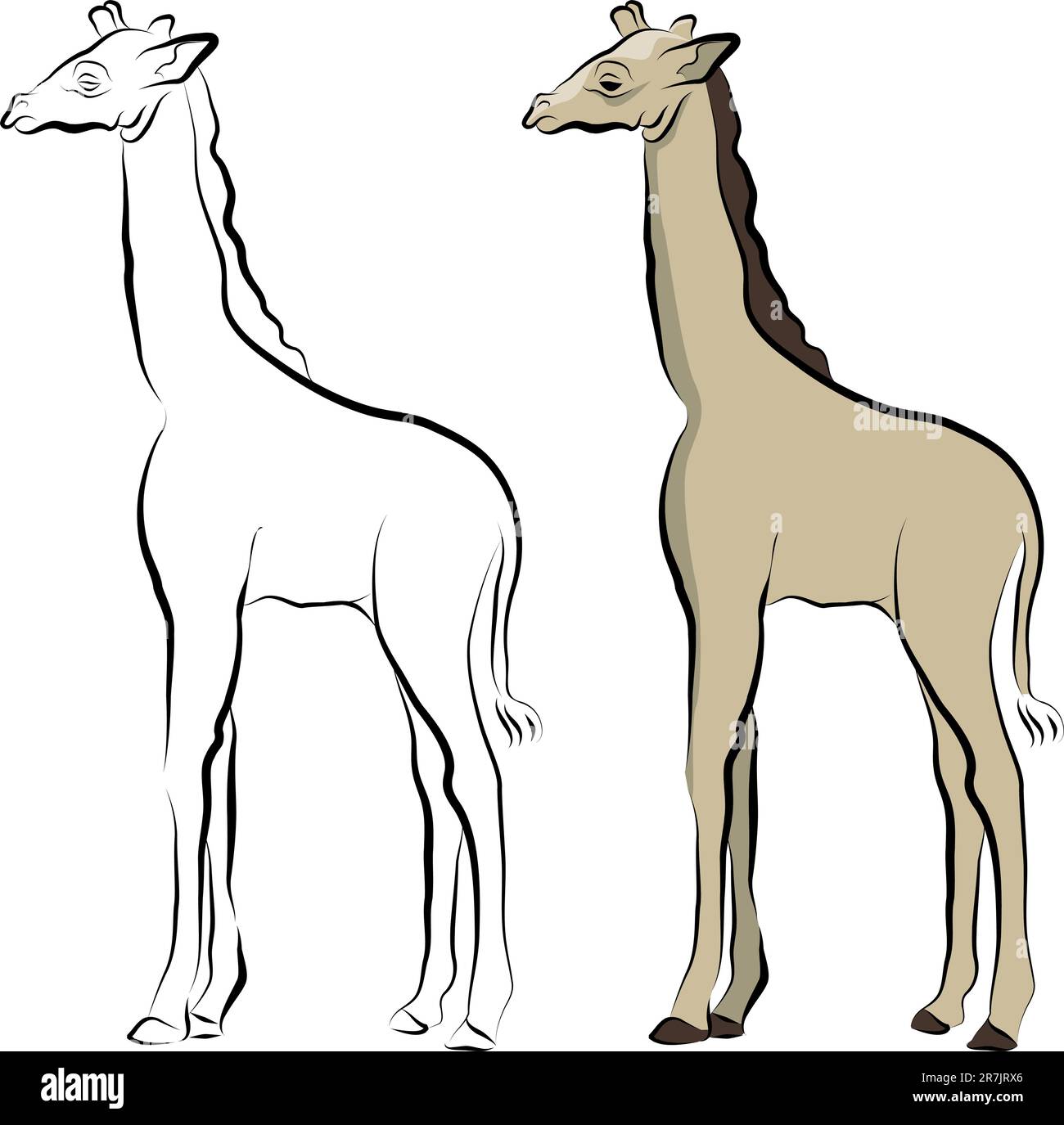 Giraffe image Stock Vector Images - Alamy