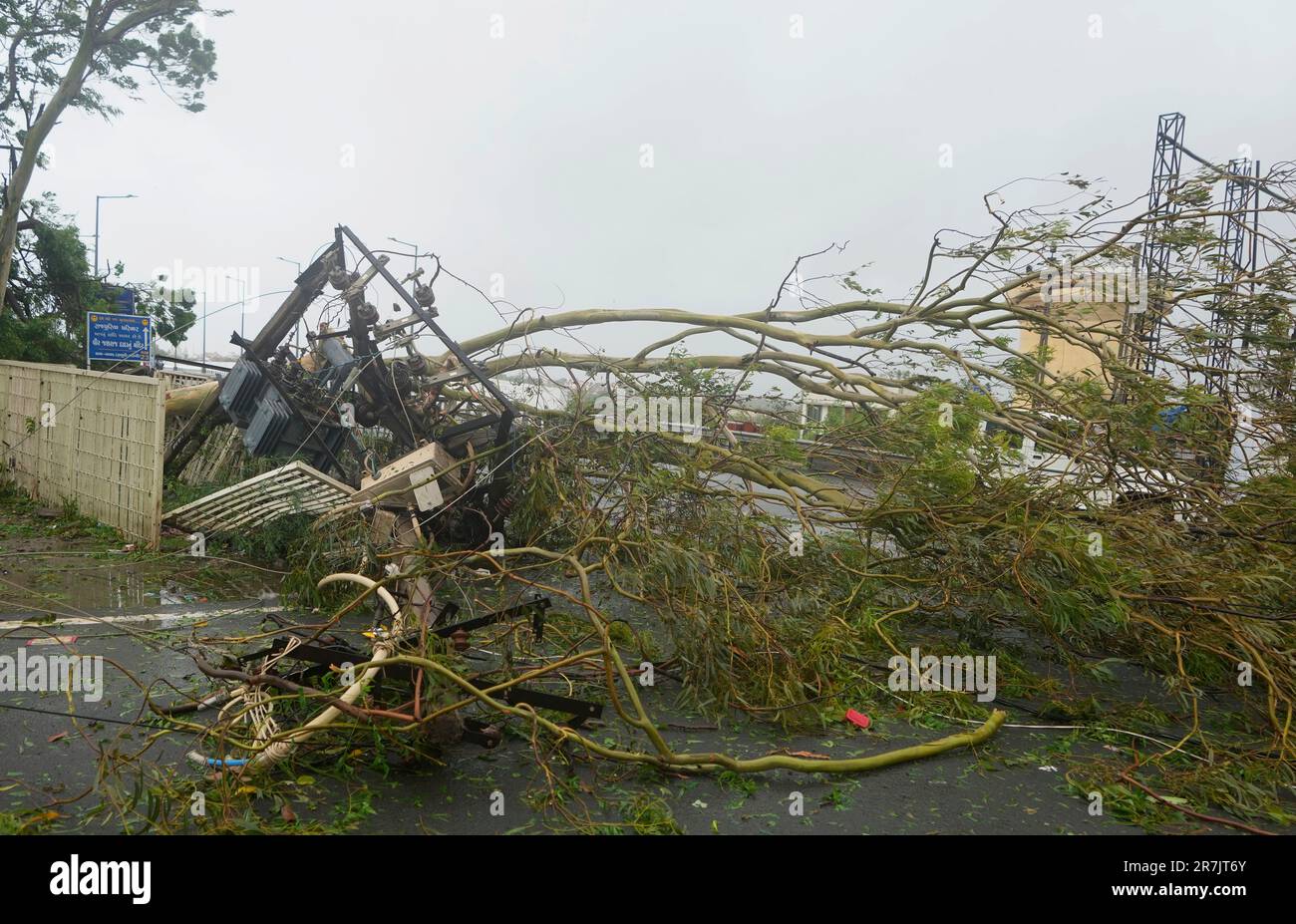 An electricity transformer is damaged by an uprooted tree following ...