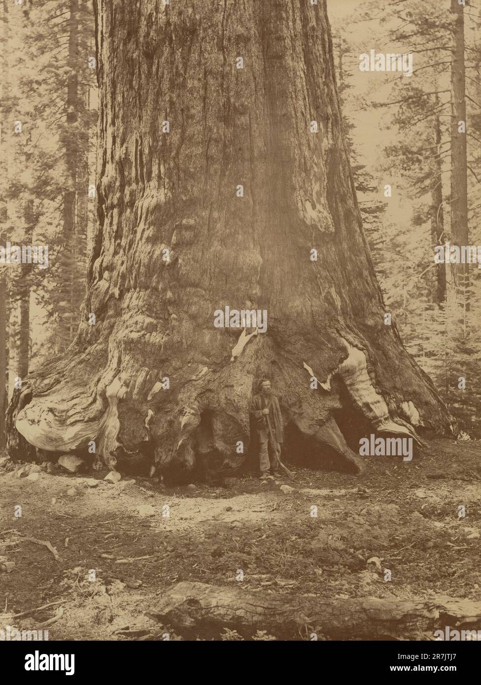 Galen Clark c. 1865-1866 Stock Photo - Alamy