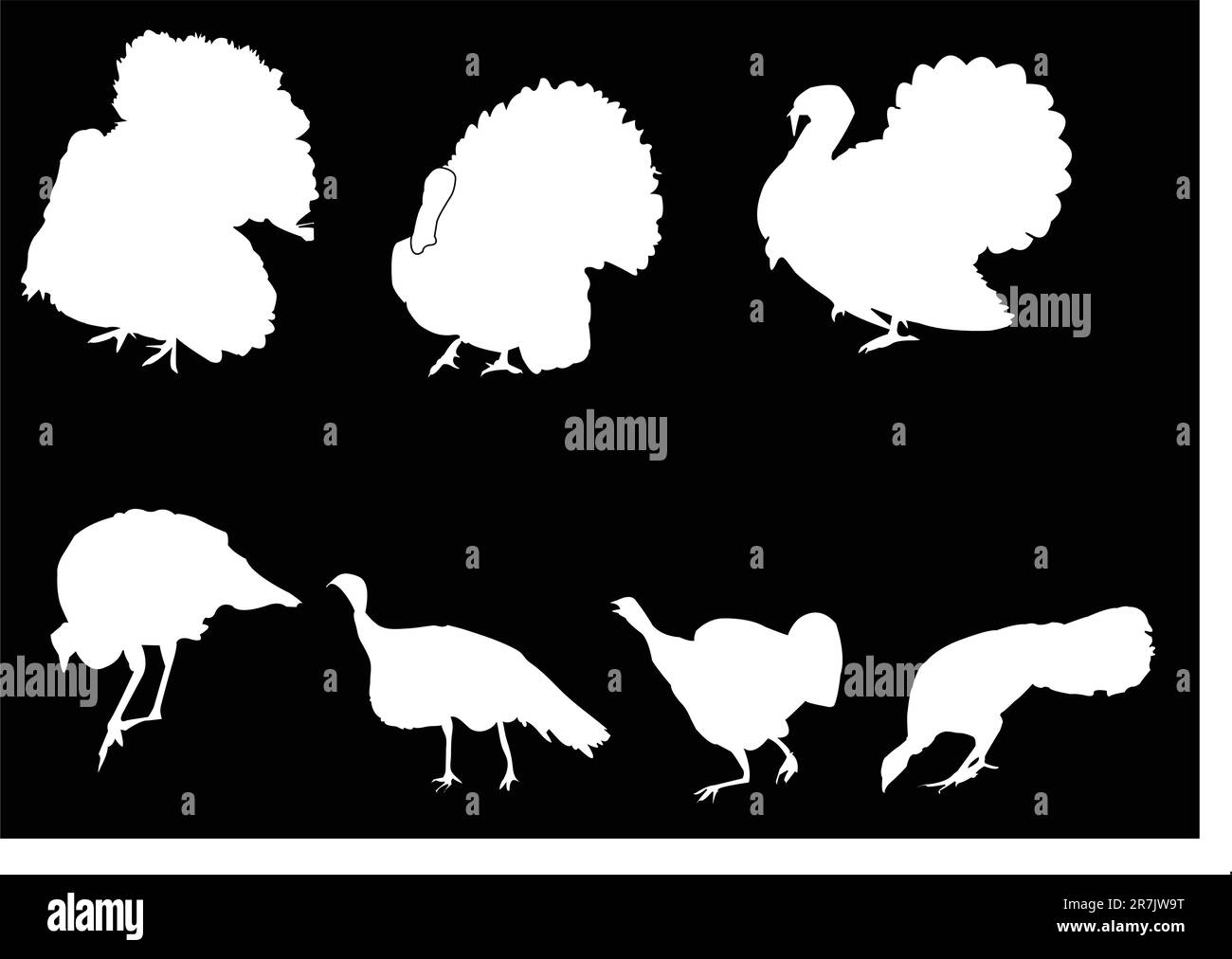 turkey collection - vector Stock Vector Image & Art - Alamy