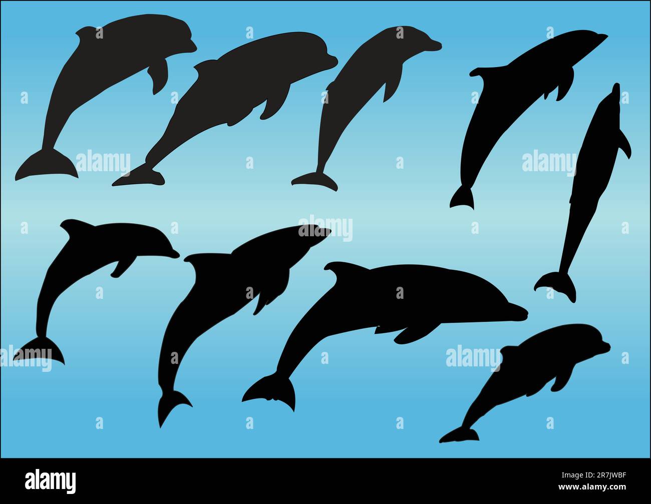 dolphins illustration collection - vector Stock Vector Image & Art - Alamy