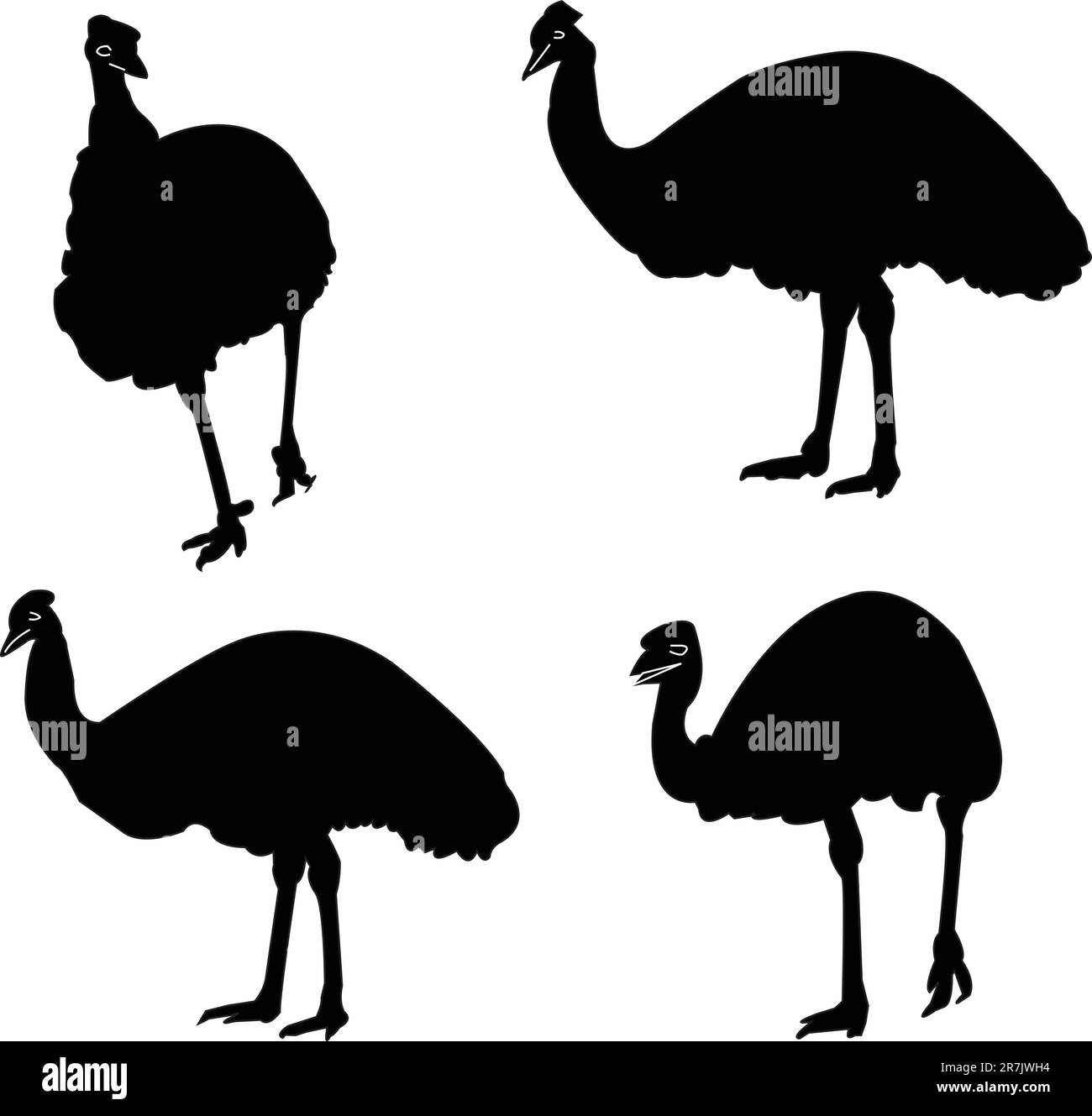 Emu Collection Vector Stock Vector Image And Art Alamy