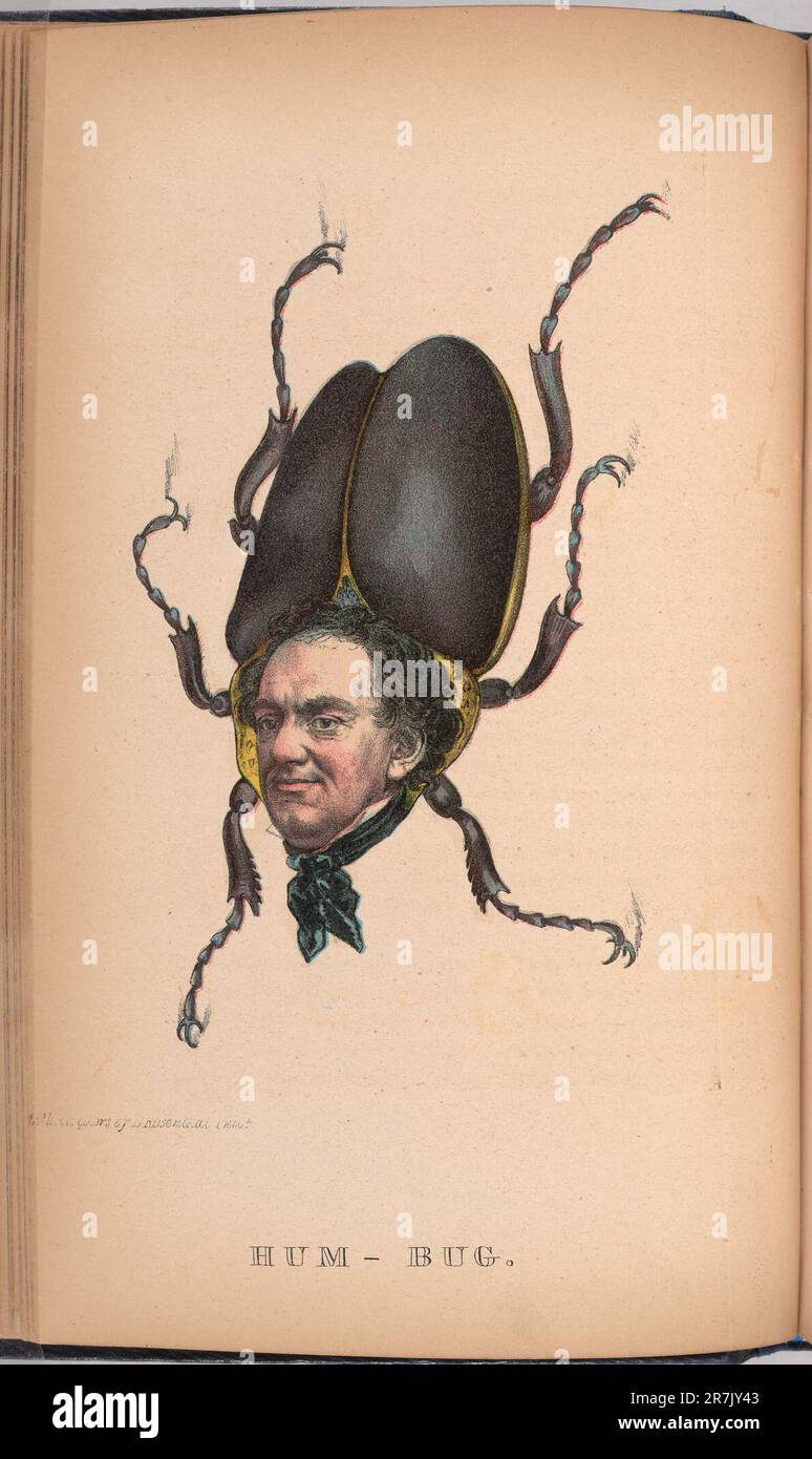 Hum bug hi-res stock photography and images - Alamy