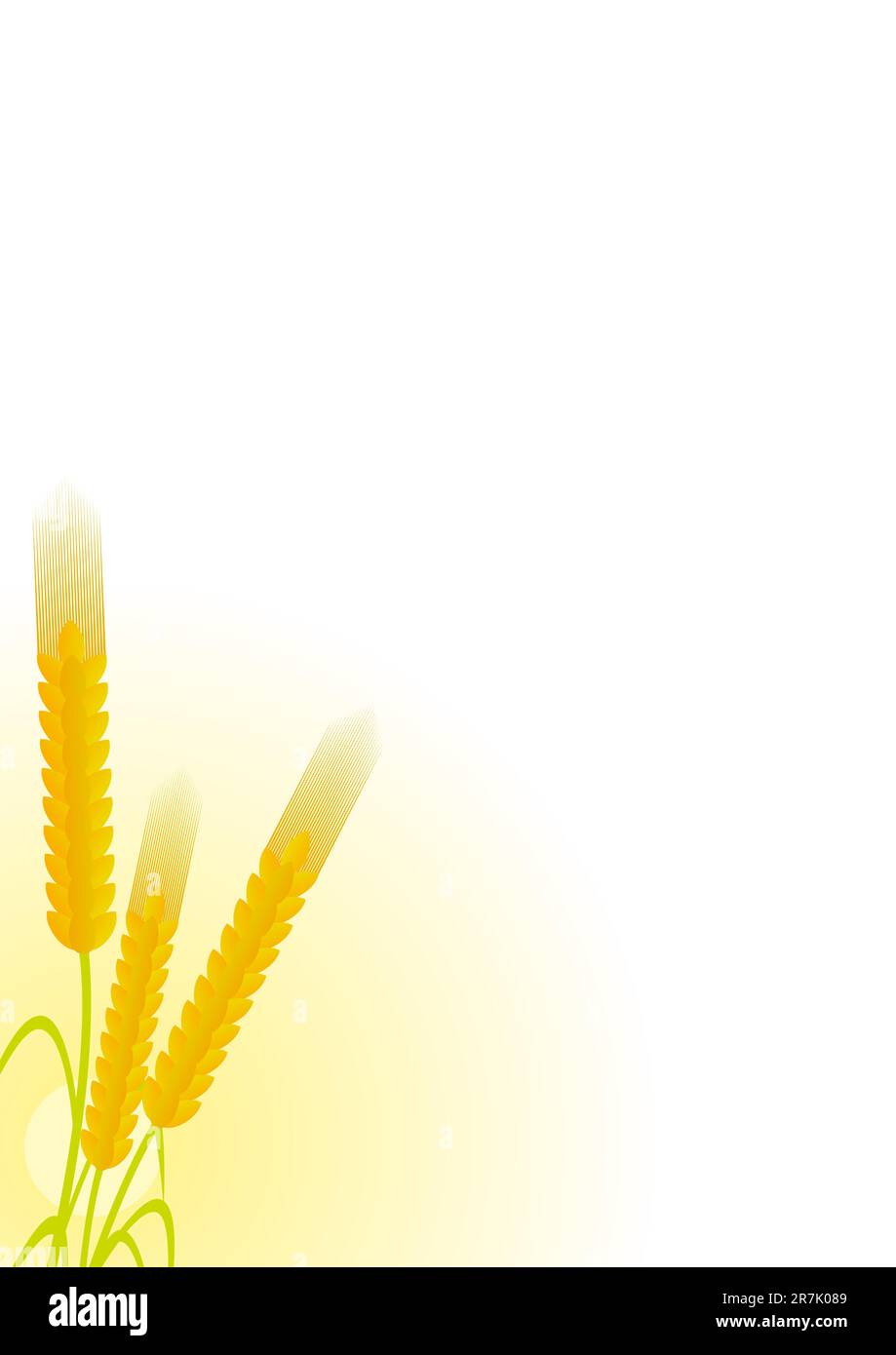 Ears corn on background Stock Vector Images - Alamy