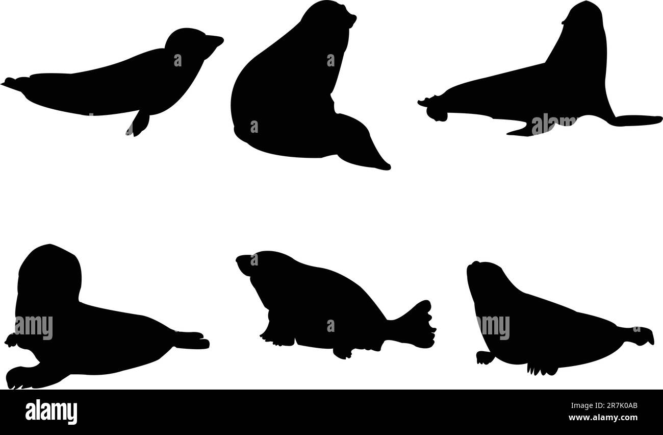 seals collection - vector Stock Vector Image & Art - Alamy