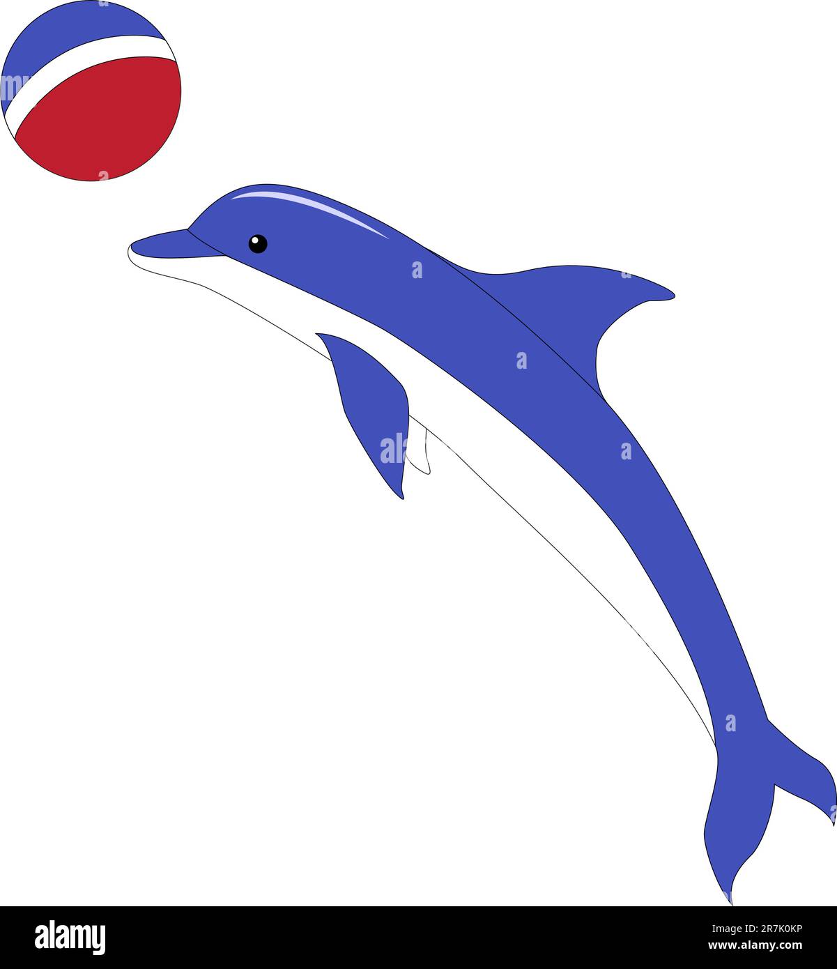A dolphin with a ball. Vector illustration, isolated on a white Stock ...