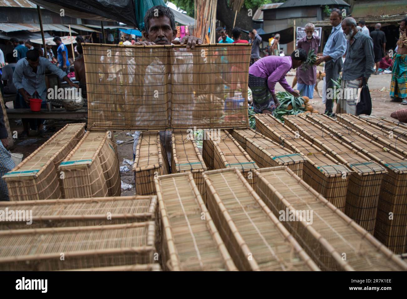 Rural bamboo trap fishing festival hi-res stock photography and images ...