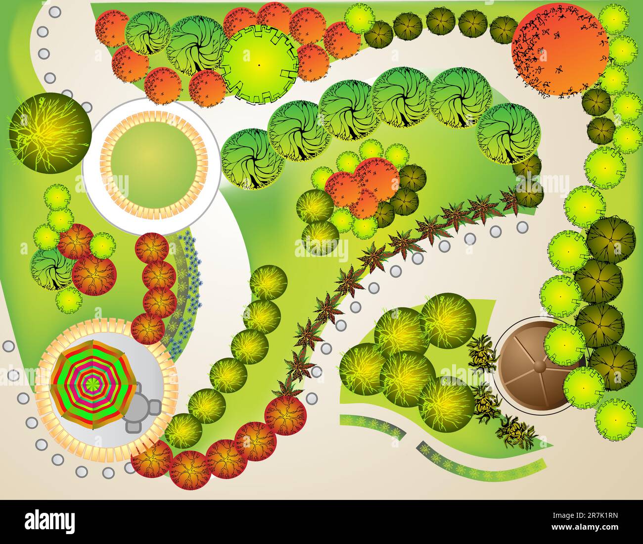 Colored Plan of garden decorative plants Stock Vector Image & Art - Alamy