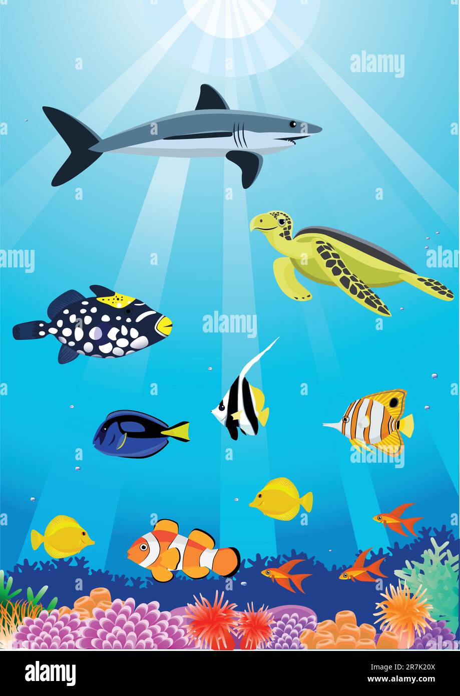 Sea life cartoon Stock Vector Image & Art - Alamy
