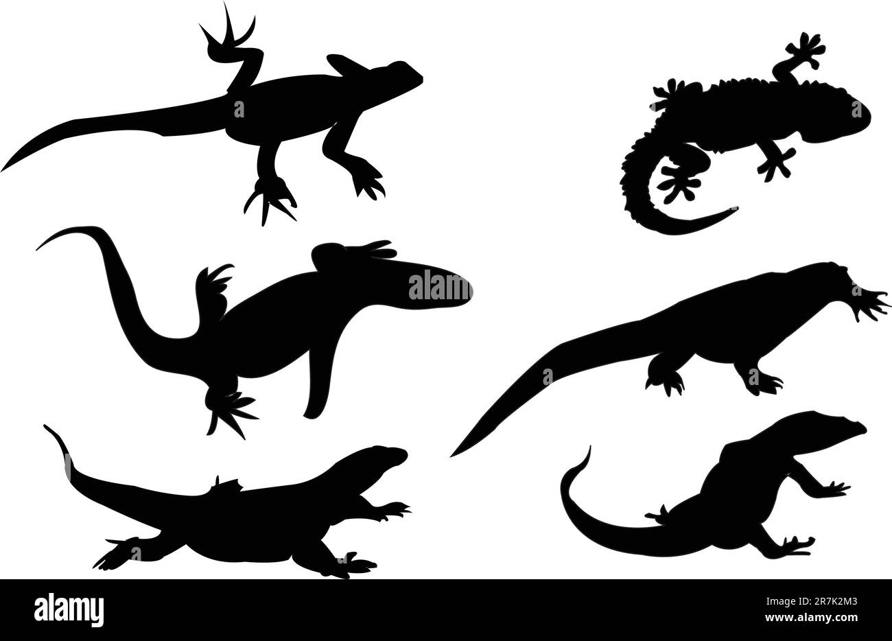 lizards collection - vector Stock Vector Image & Art - Alamy