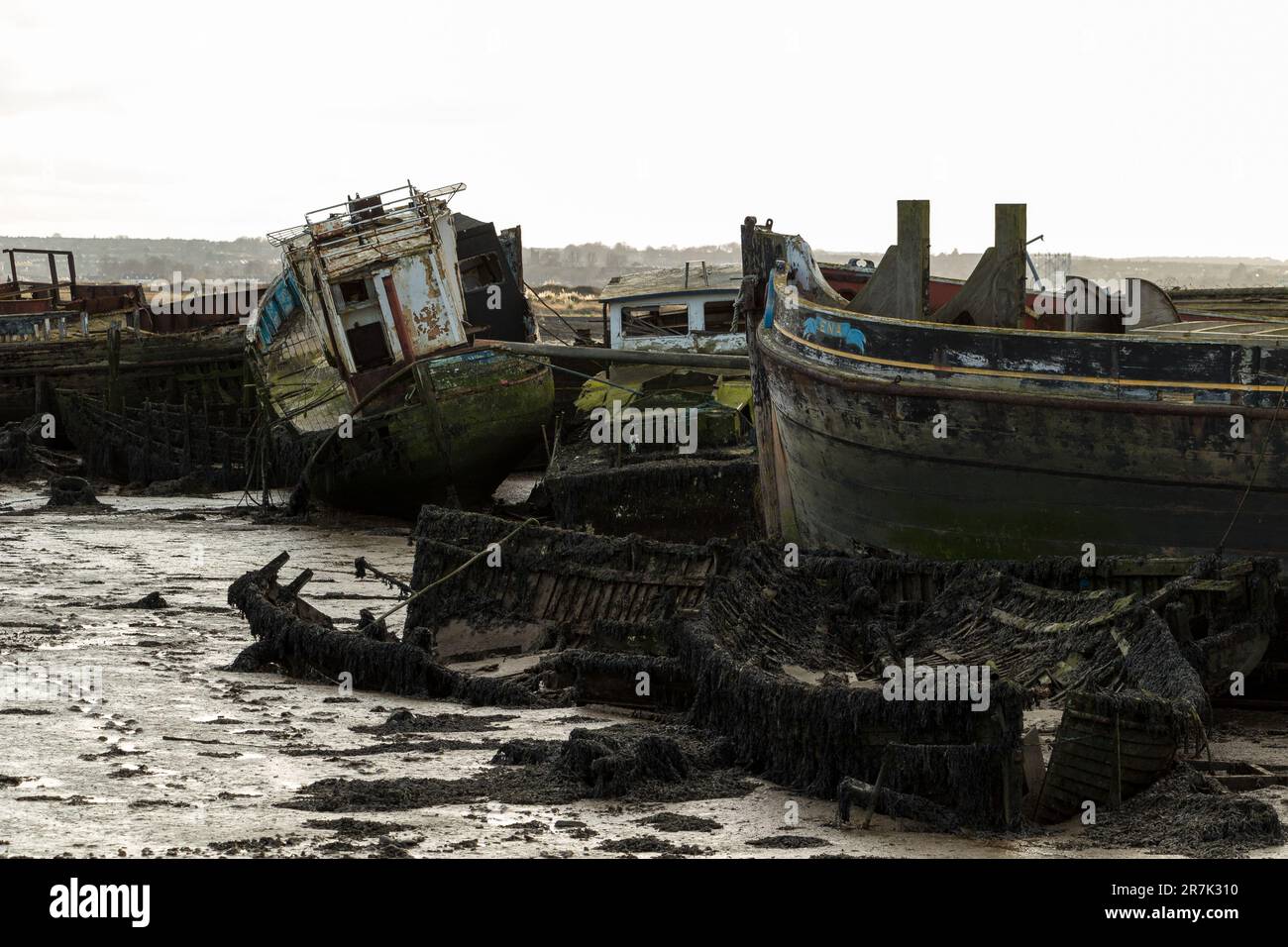 Abandoned Barges at Hoo Marina Stock Photo - Alamy