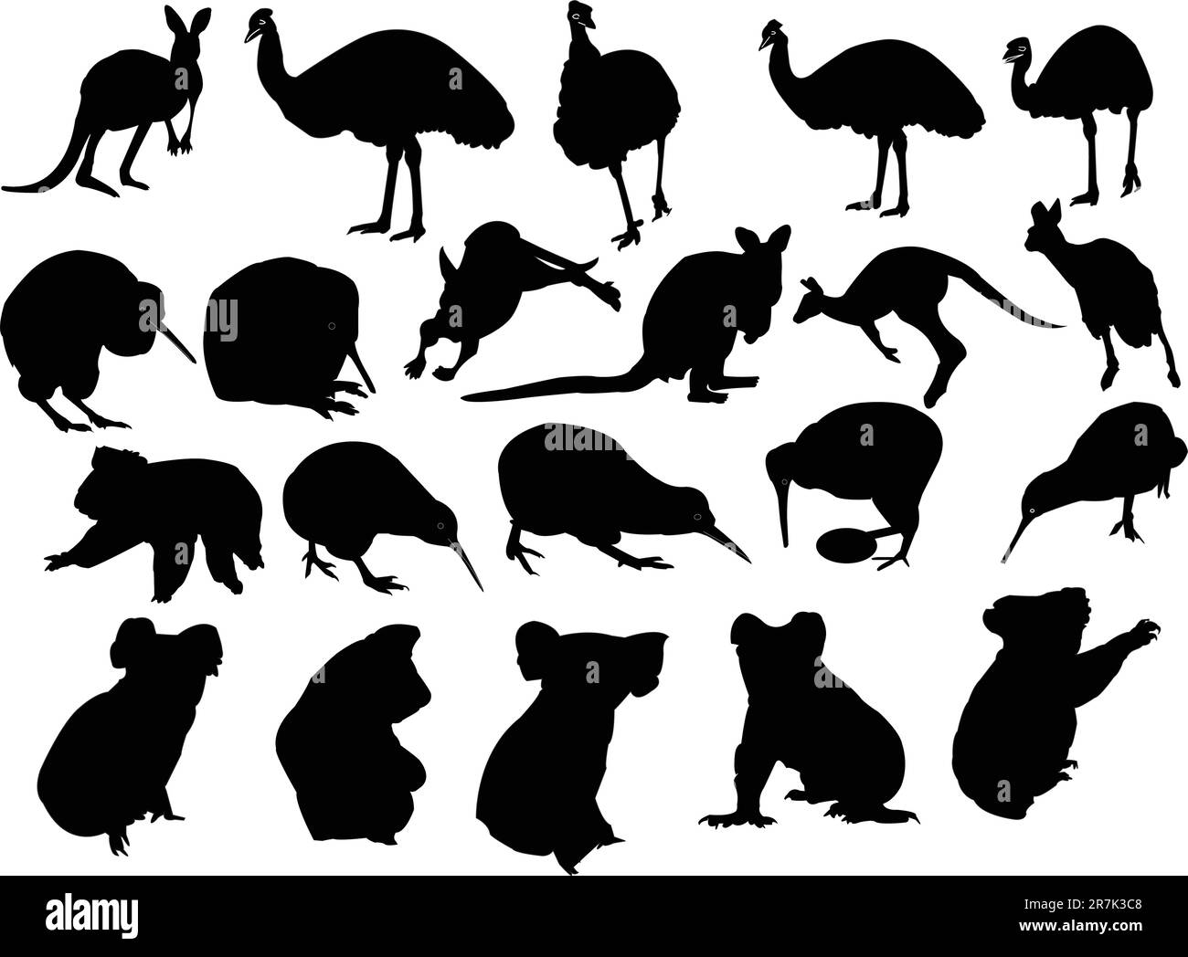 animals of australia collection - vector Stock Vector Image & Art - Alamy