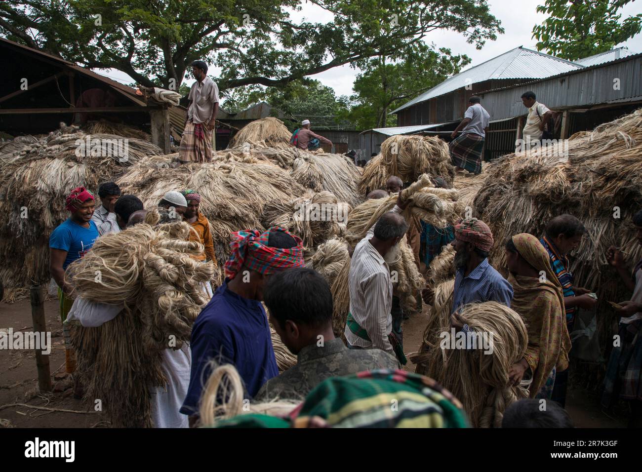 Jute fibre market hi-res stock photography and images - Alamy