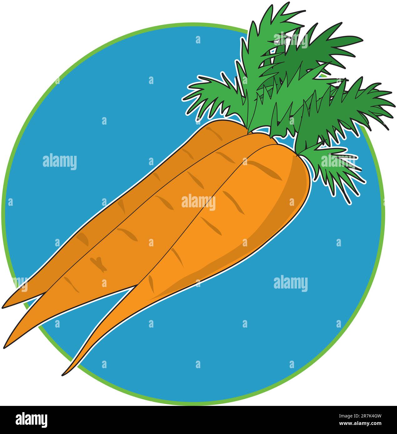 Cartoon Carrot Bunch