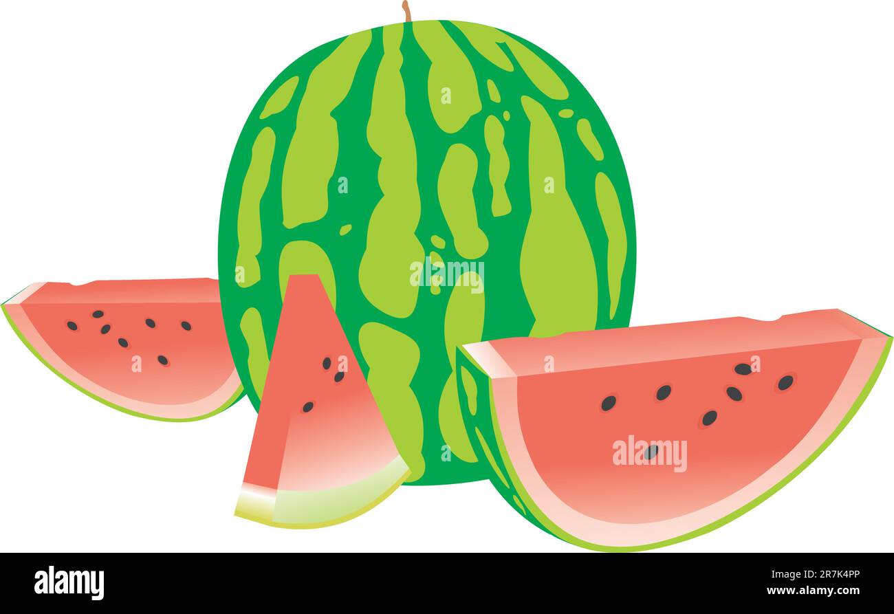 Stone melon Stock Vector Images - Alamy