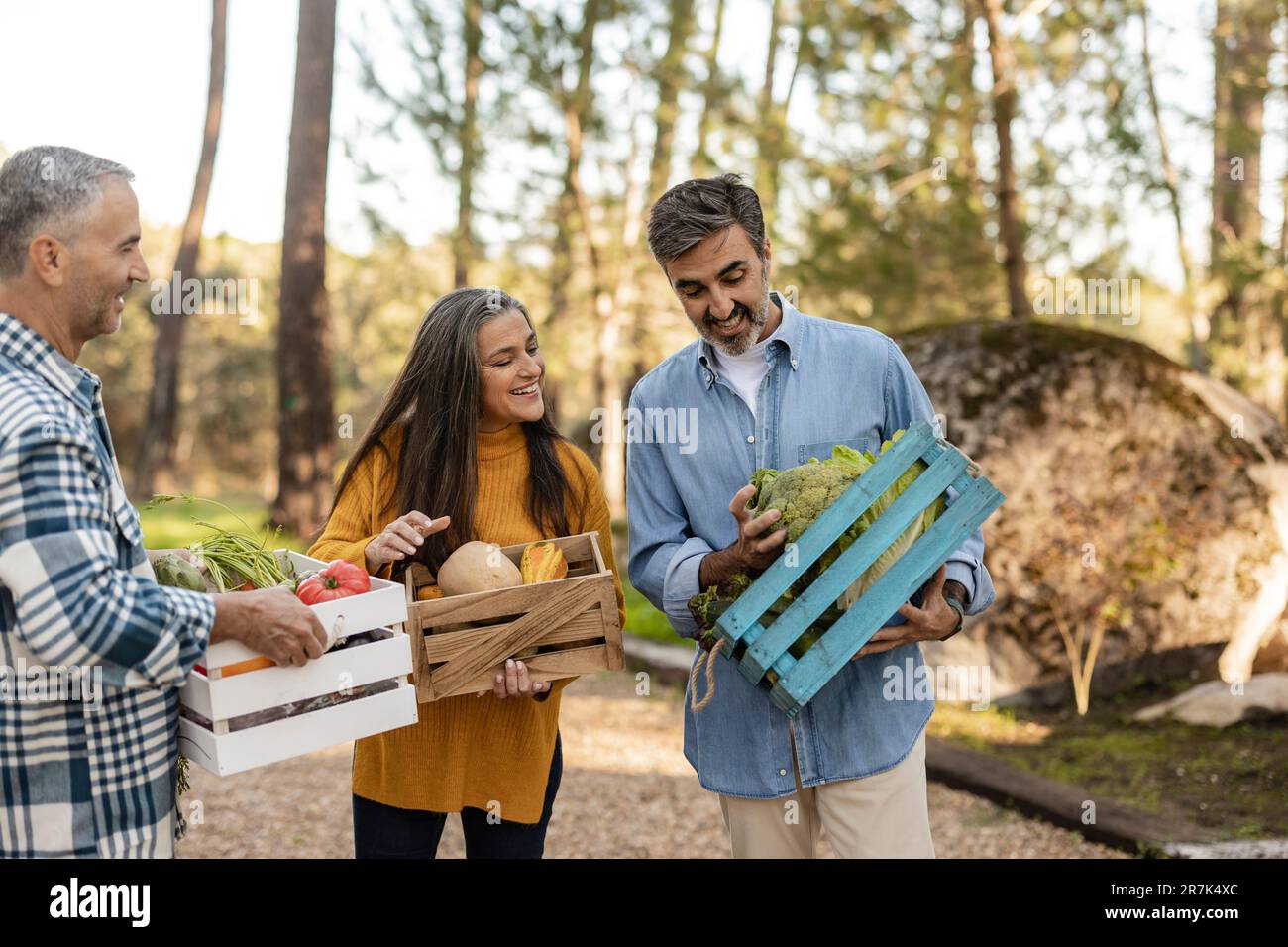 Friends carrying vegetable crates looking smiling at freshly harvested ...