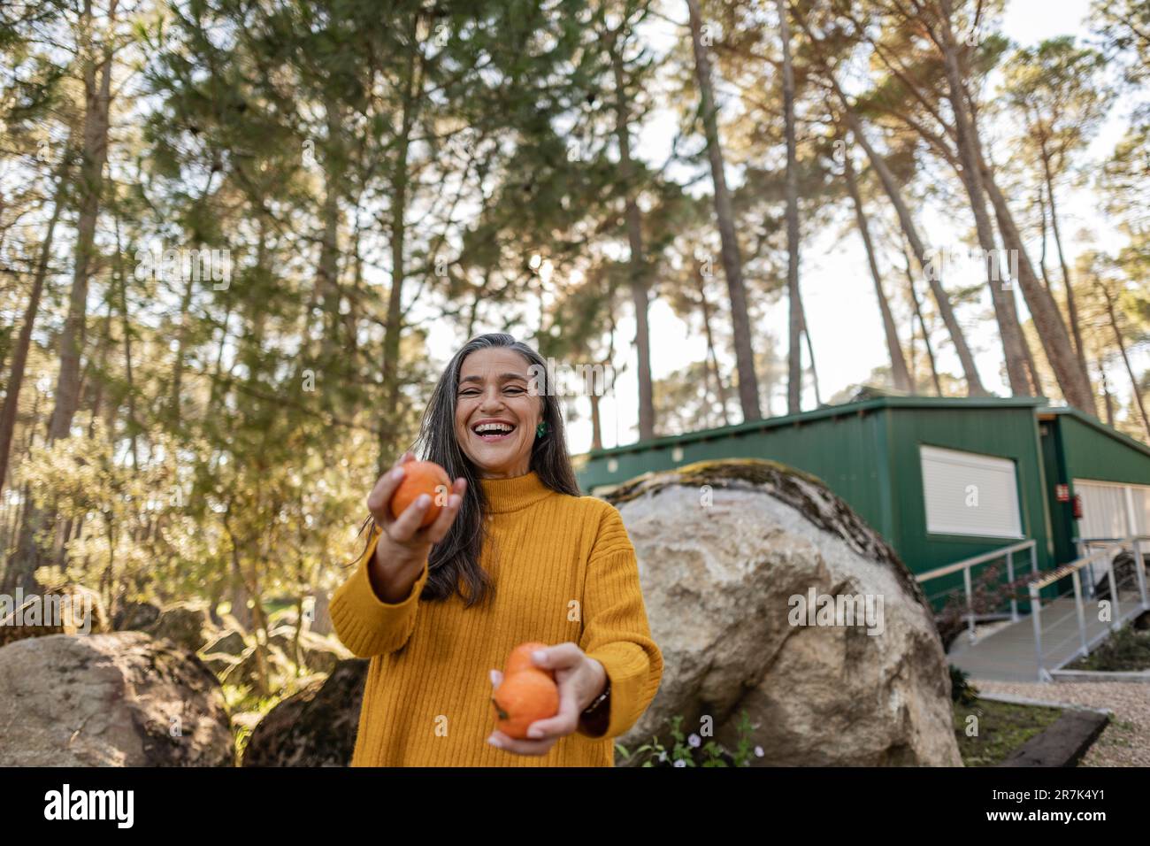 Mature juggling fruit vegetables hi-res stock photography and images ...
