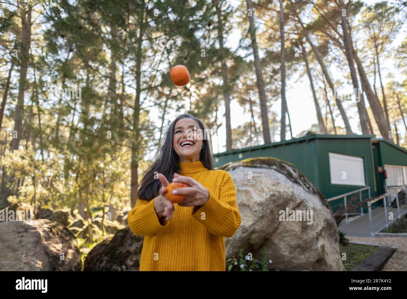 Mature woman standing in garden juggling with organic oranges Stock ...