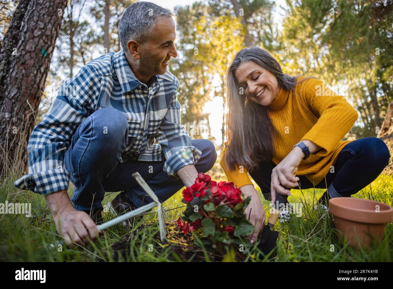 Happy mature couple planting flower in natural garden Stock Photo - Alamy
