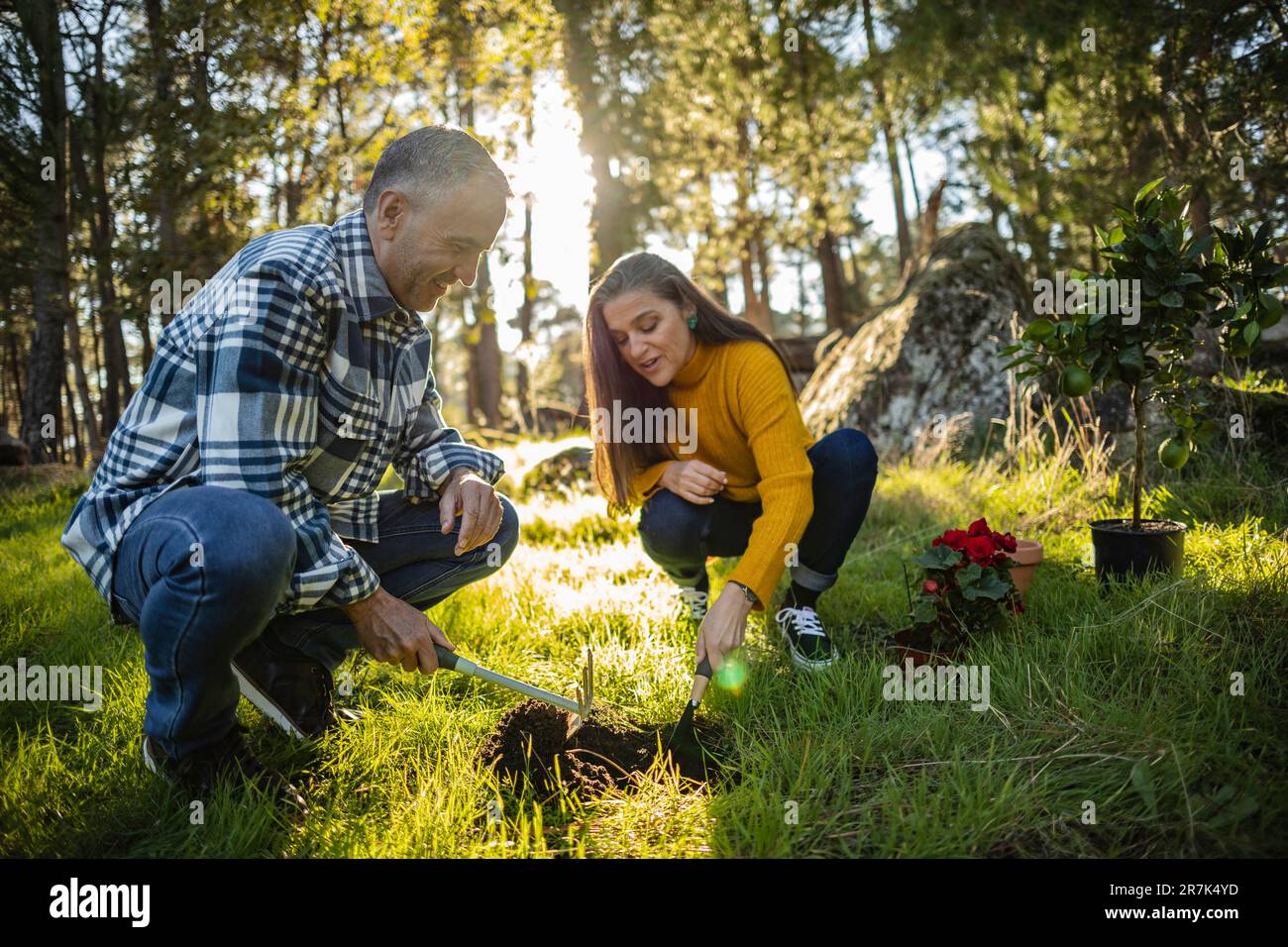 Mature couple planting flower in natural garden Stock Photo - Alamy
