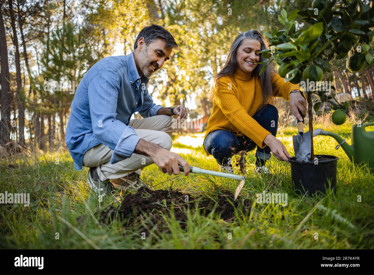 Happy mature couple planting small fruit tree in natural garden Stock ...