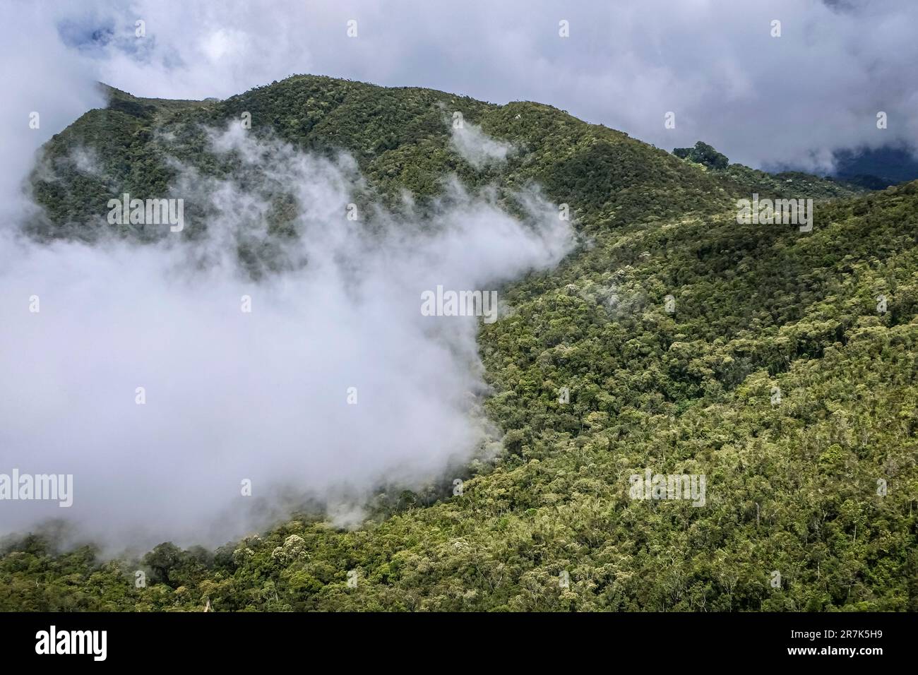 Clouds drifting over lush Atlantic rainforest mountains in the Serra da ...